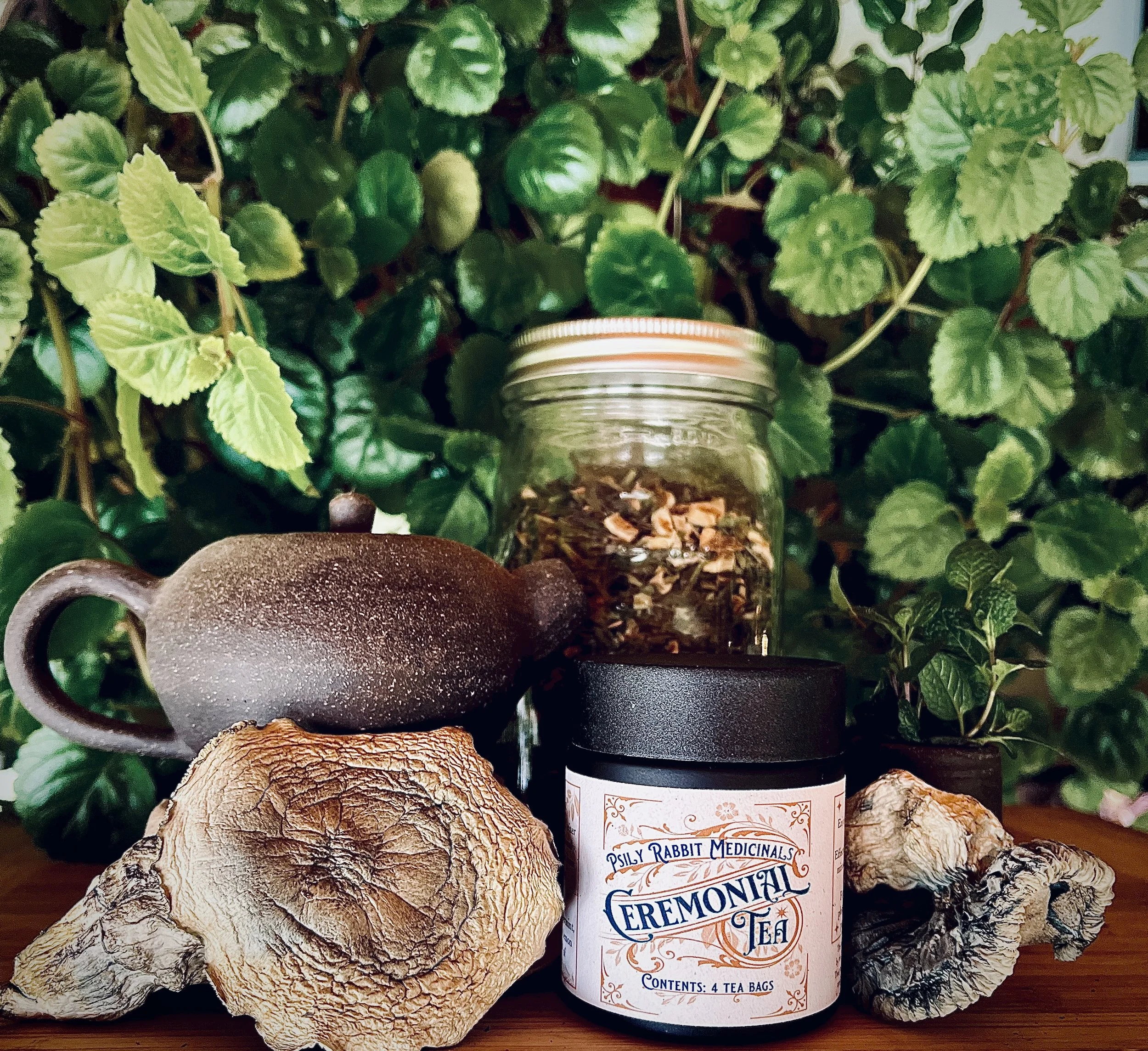 Ceremonial Tea — Psily Rabbit Medicinals