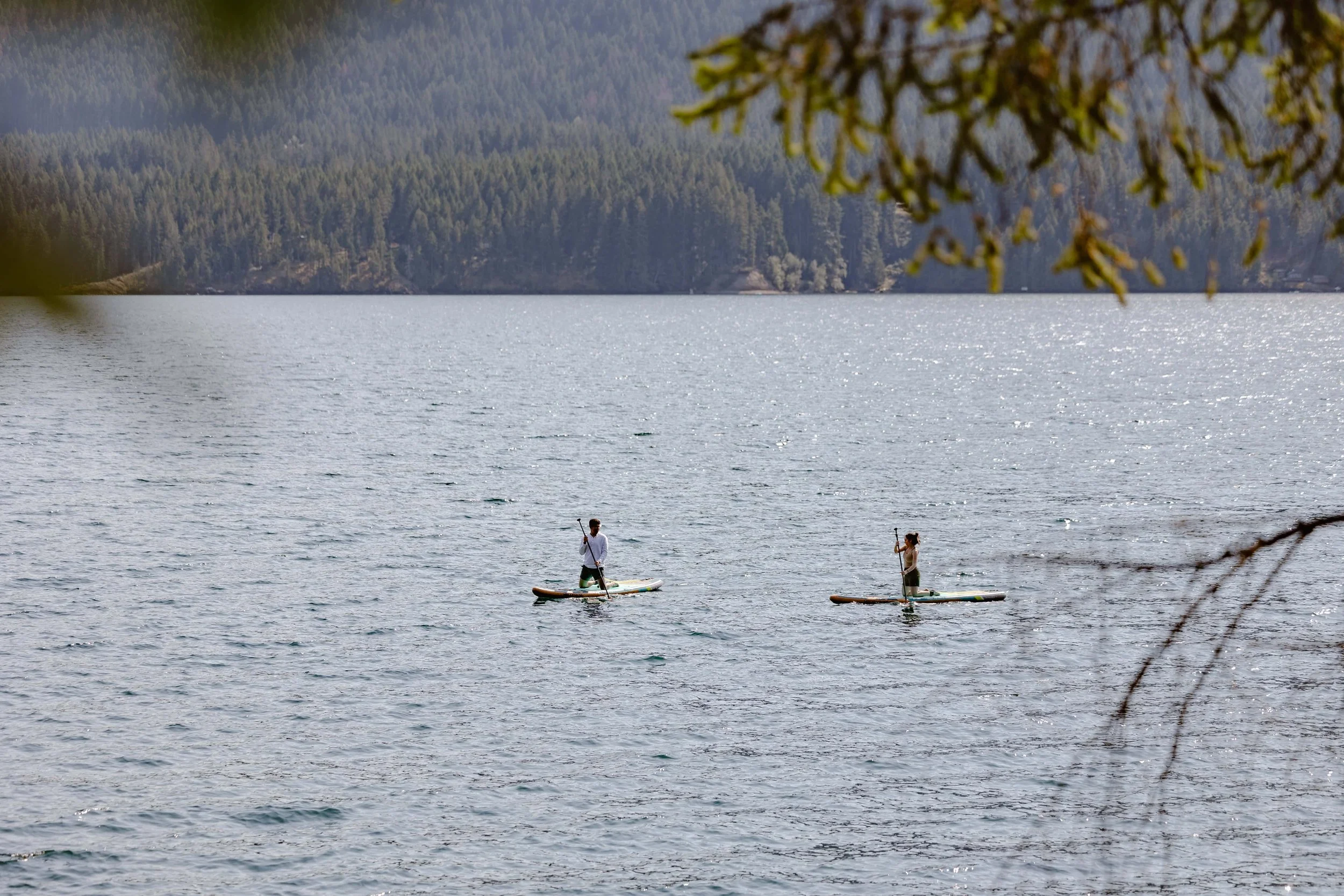 Olympic National Park Engagement - Adventurous Photos