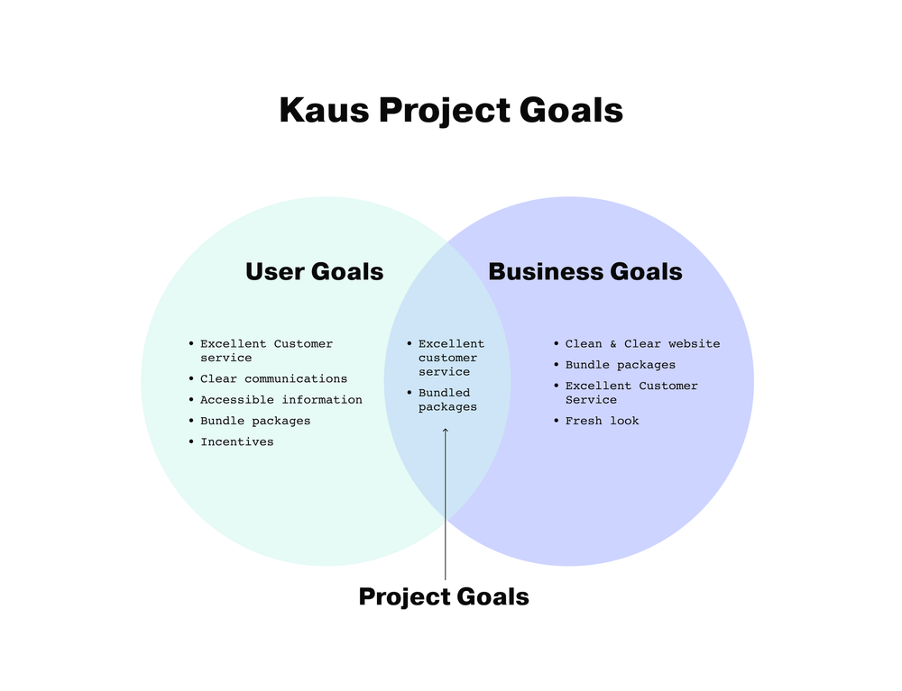 Casestudy: Kaus — Celia Hazard Designs