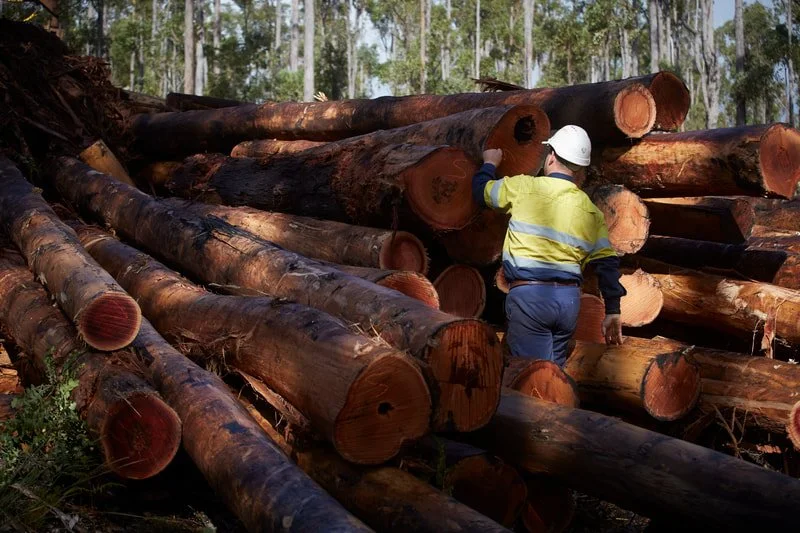 Forest Industries Federation WA