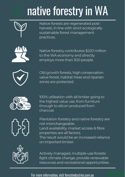 Native Forestry Ban — fifwa