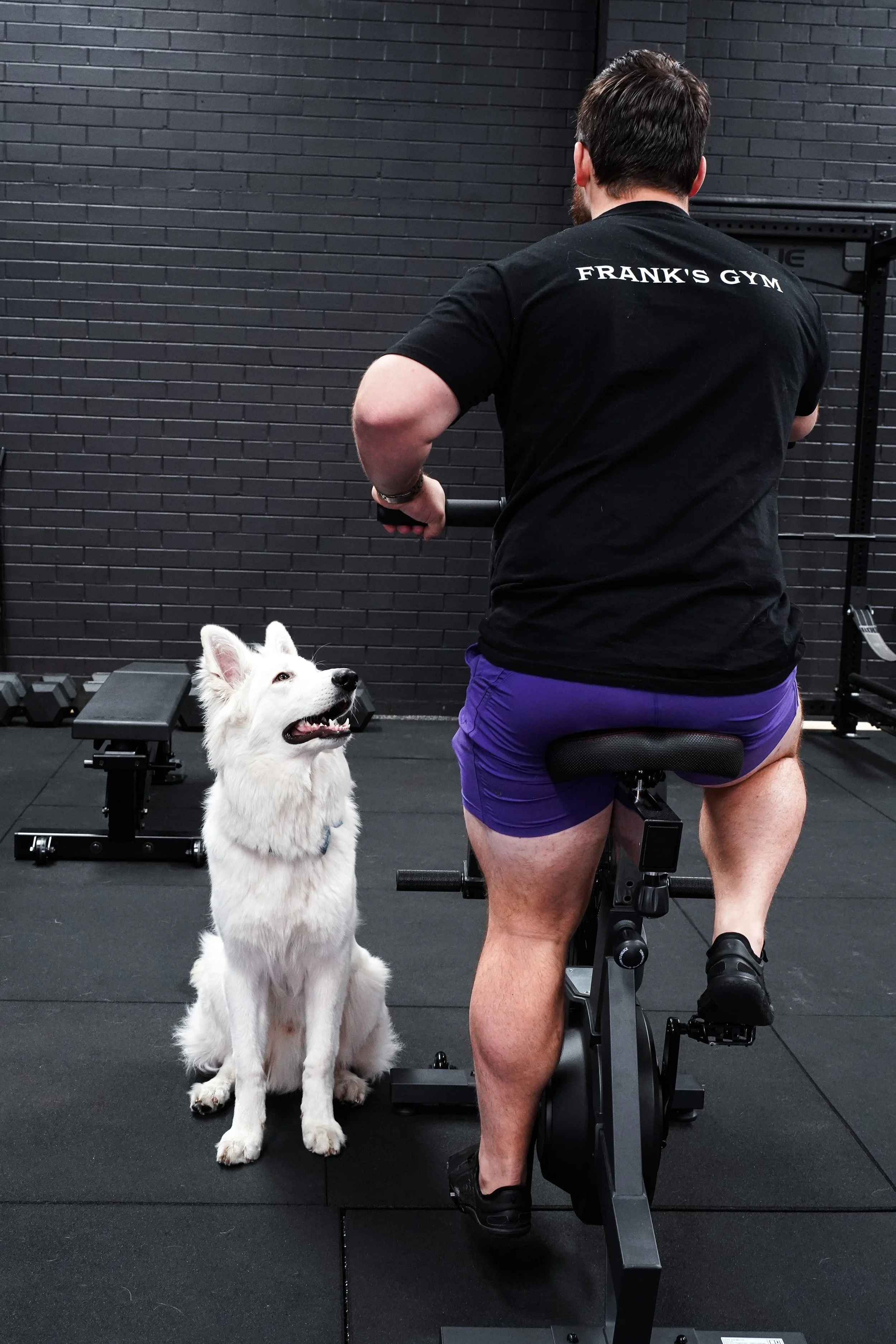 Frank's Gym Perth