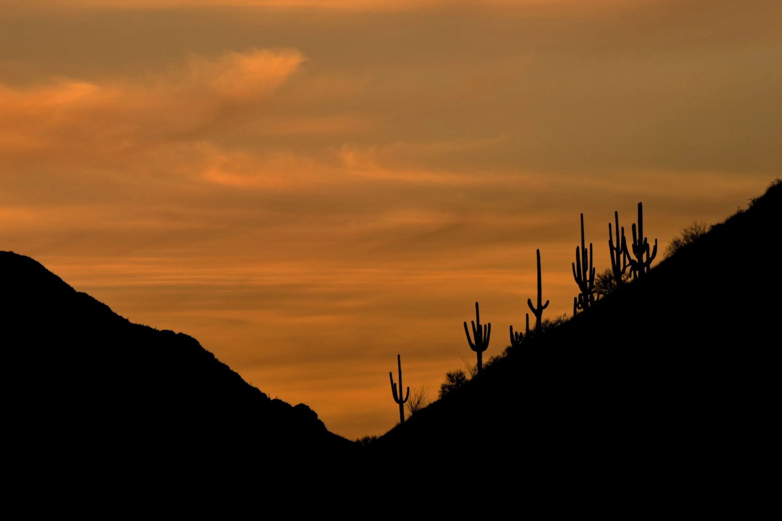 Blog — Daniel Sutherland