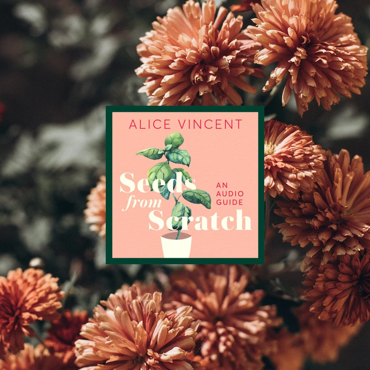 Books, articles and podcast — Alice Vincent