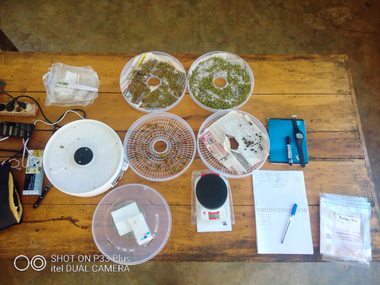 Dr. Abigail Ross Foundation for Applied Conservation