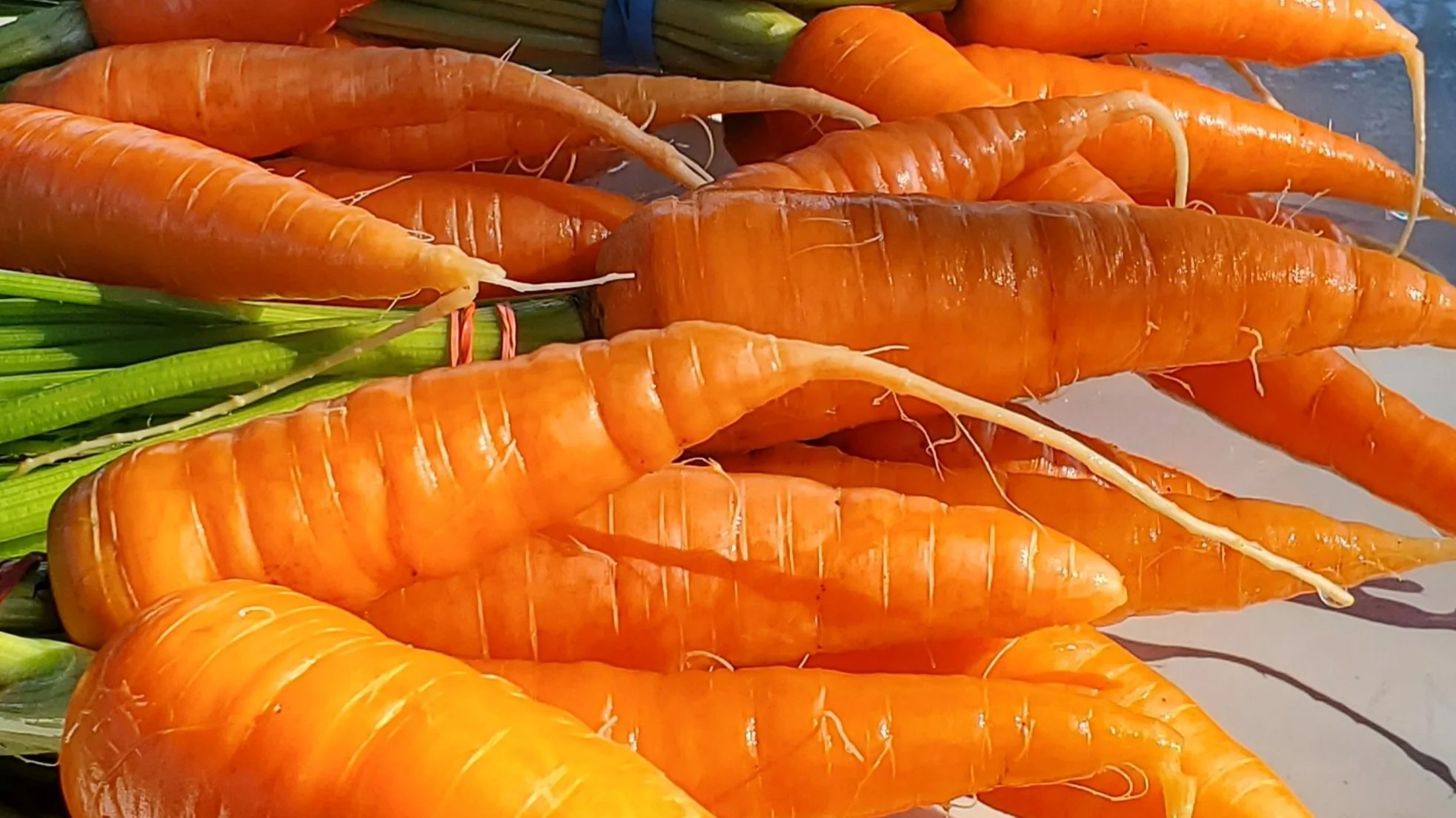 Walker Keay Farm | Eliot, ME