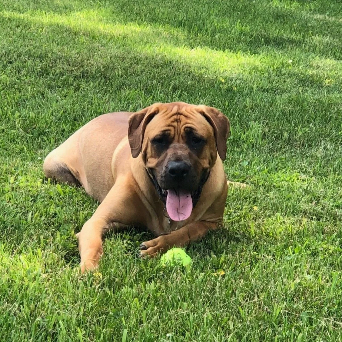 Our Team — McCarter Health Center