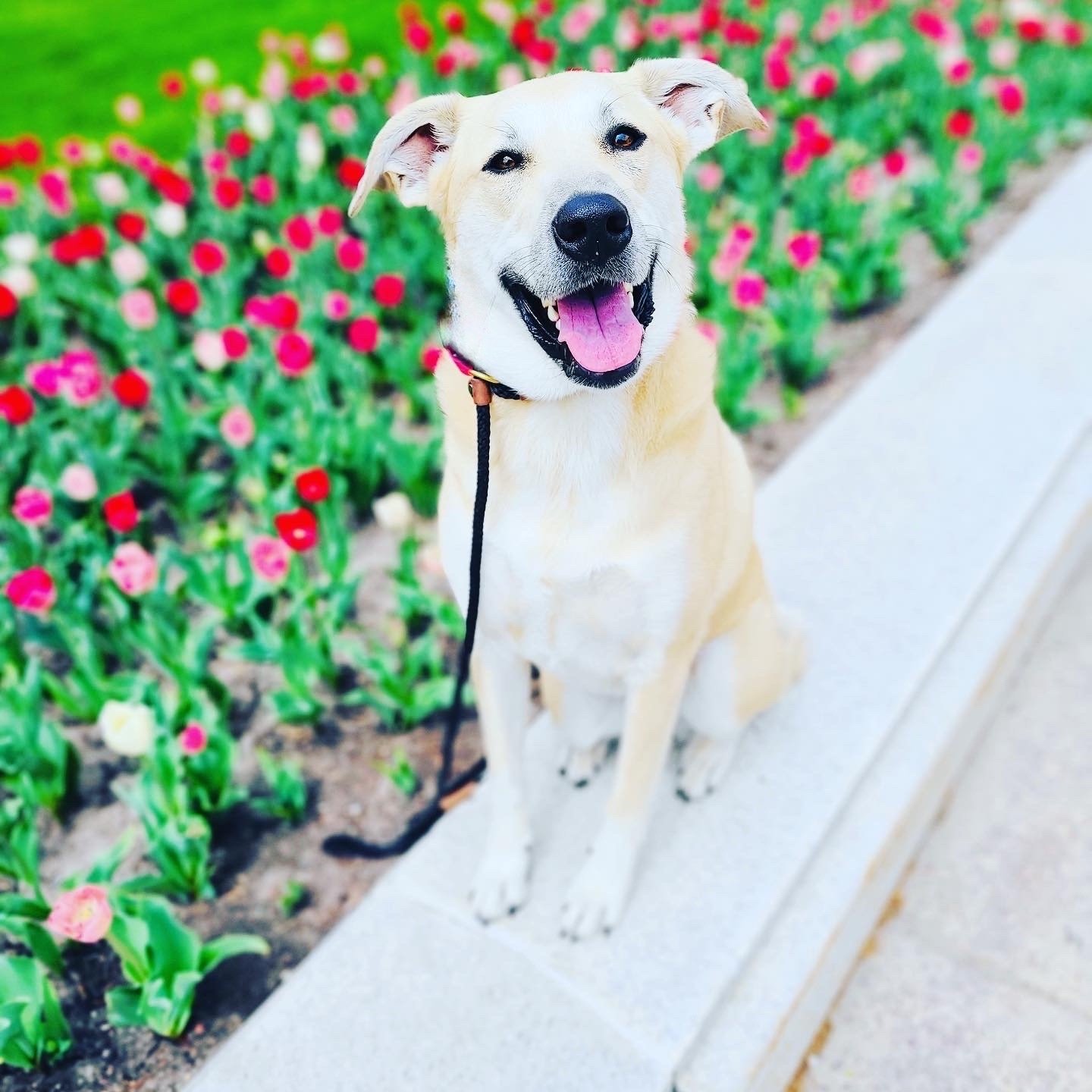 About — KP Counseling, LLC