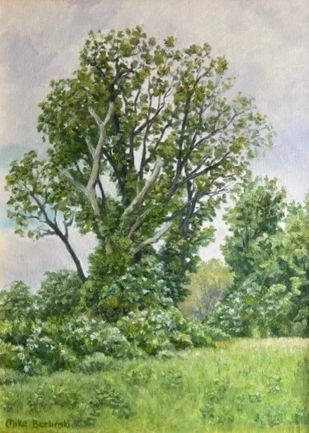 Home — Mike Berlinski Art, About Mike Berlinski, Artist