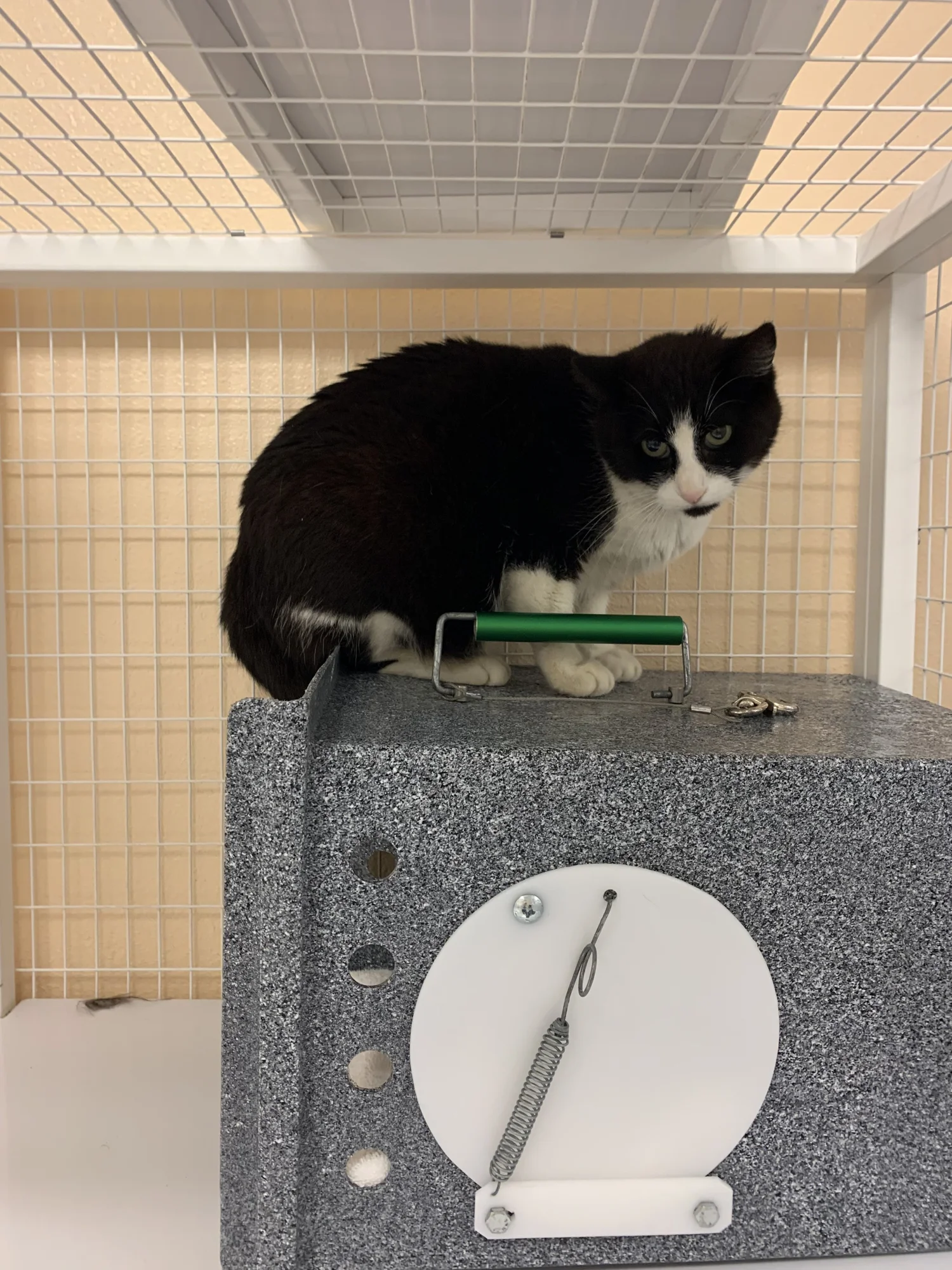 TNR — Cal Poly Cat Program