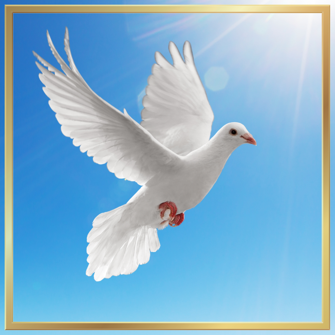 RoG Hub — River of Guidance