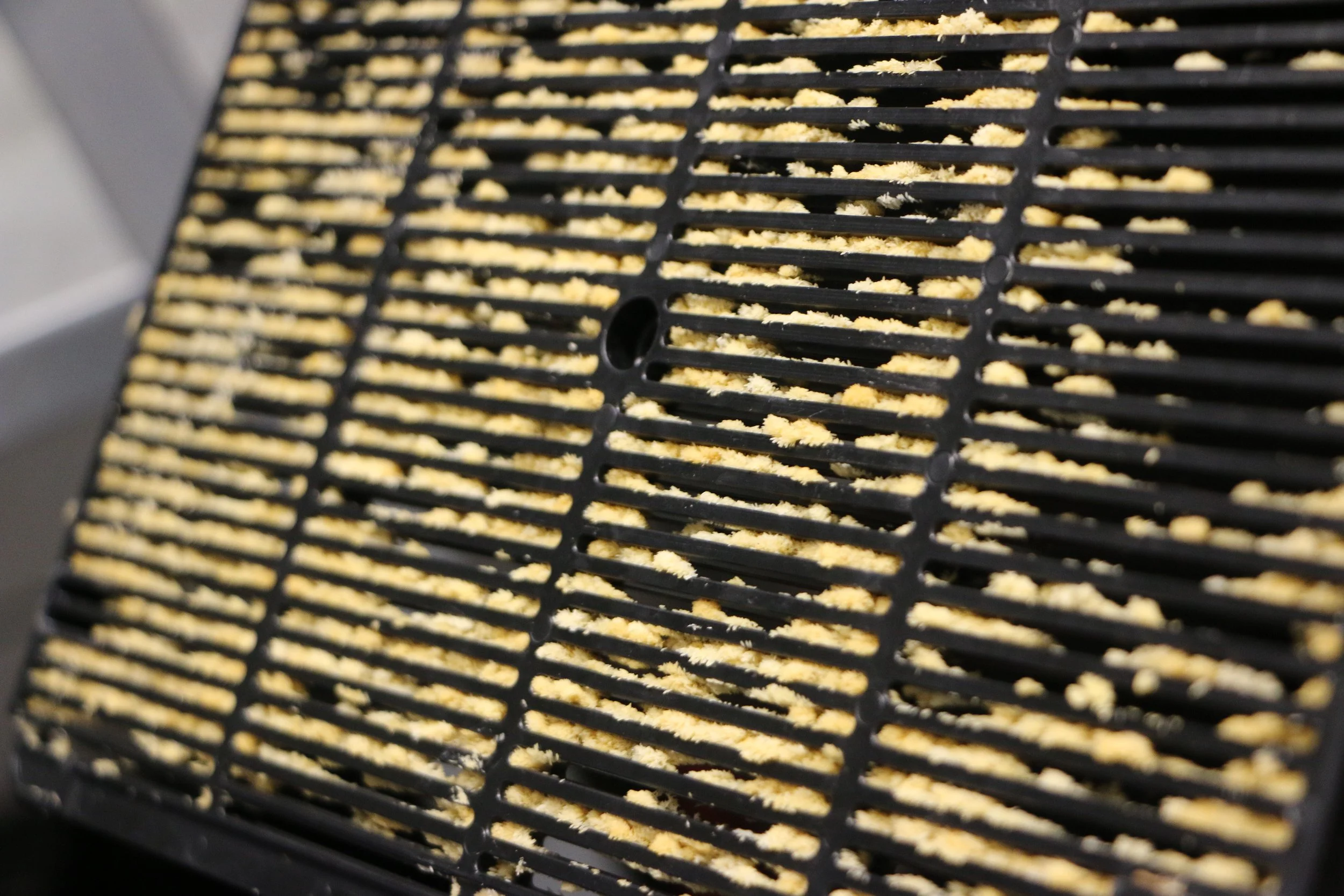 InsectoCycle - Turnkey BSF reproduction systems