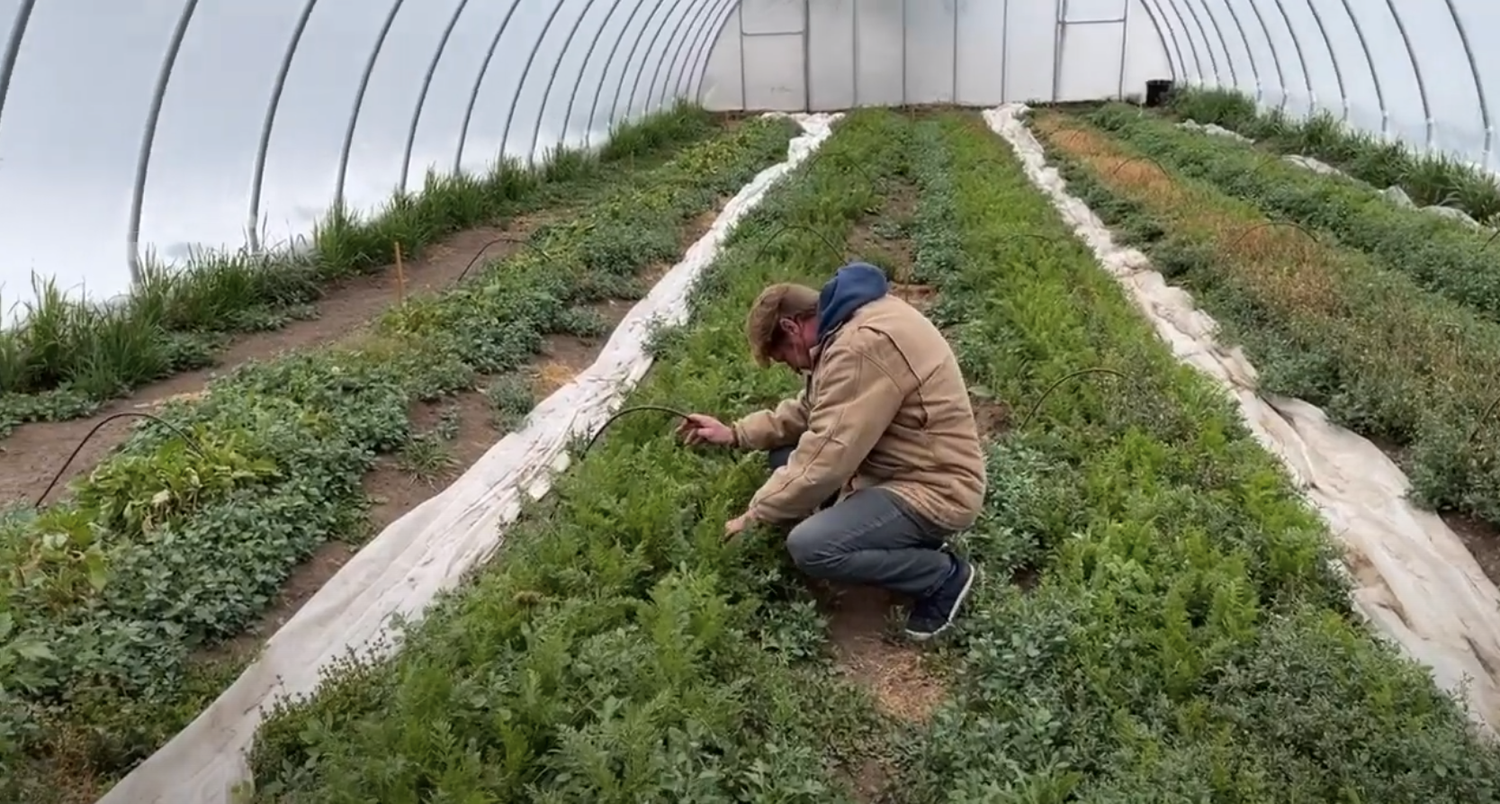 Welcome — The Chef and Farmer