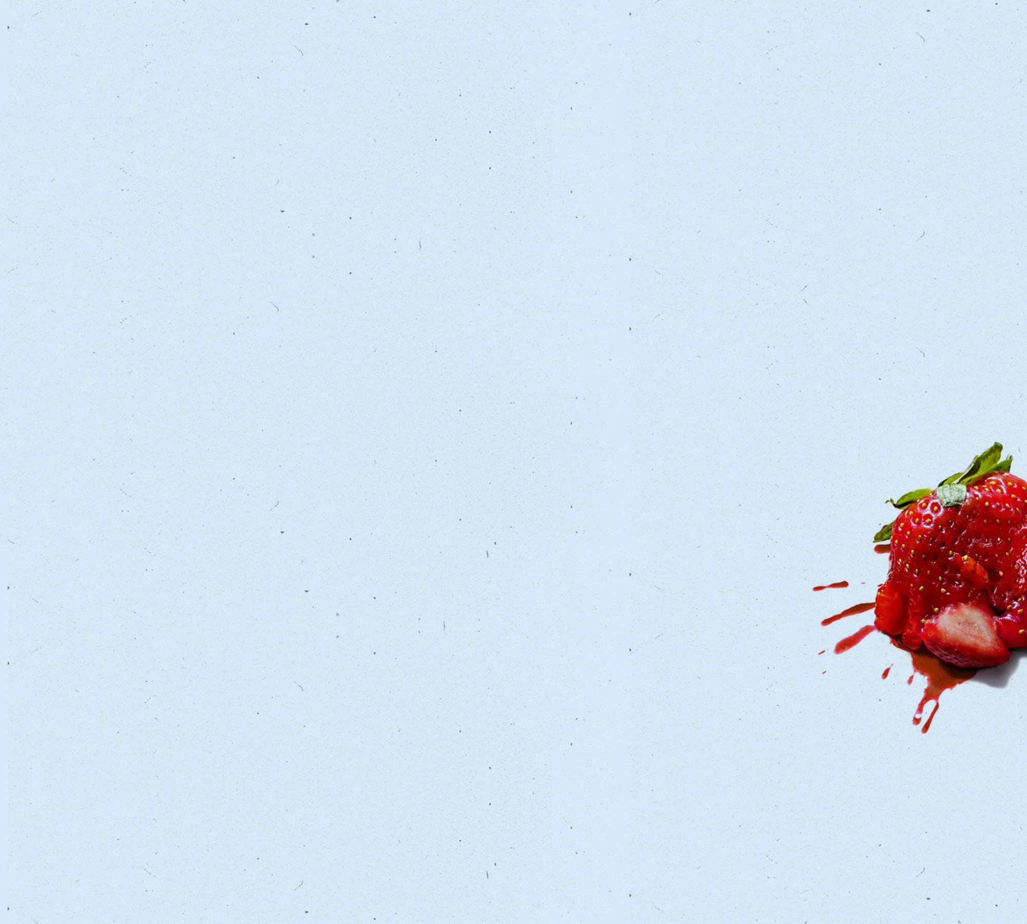 Bio — Cecilia Rabess