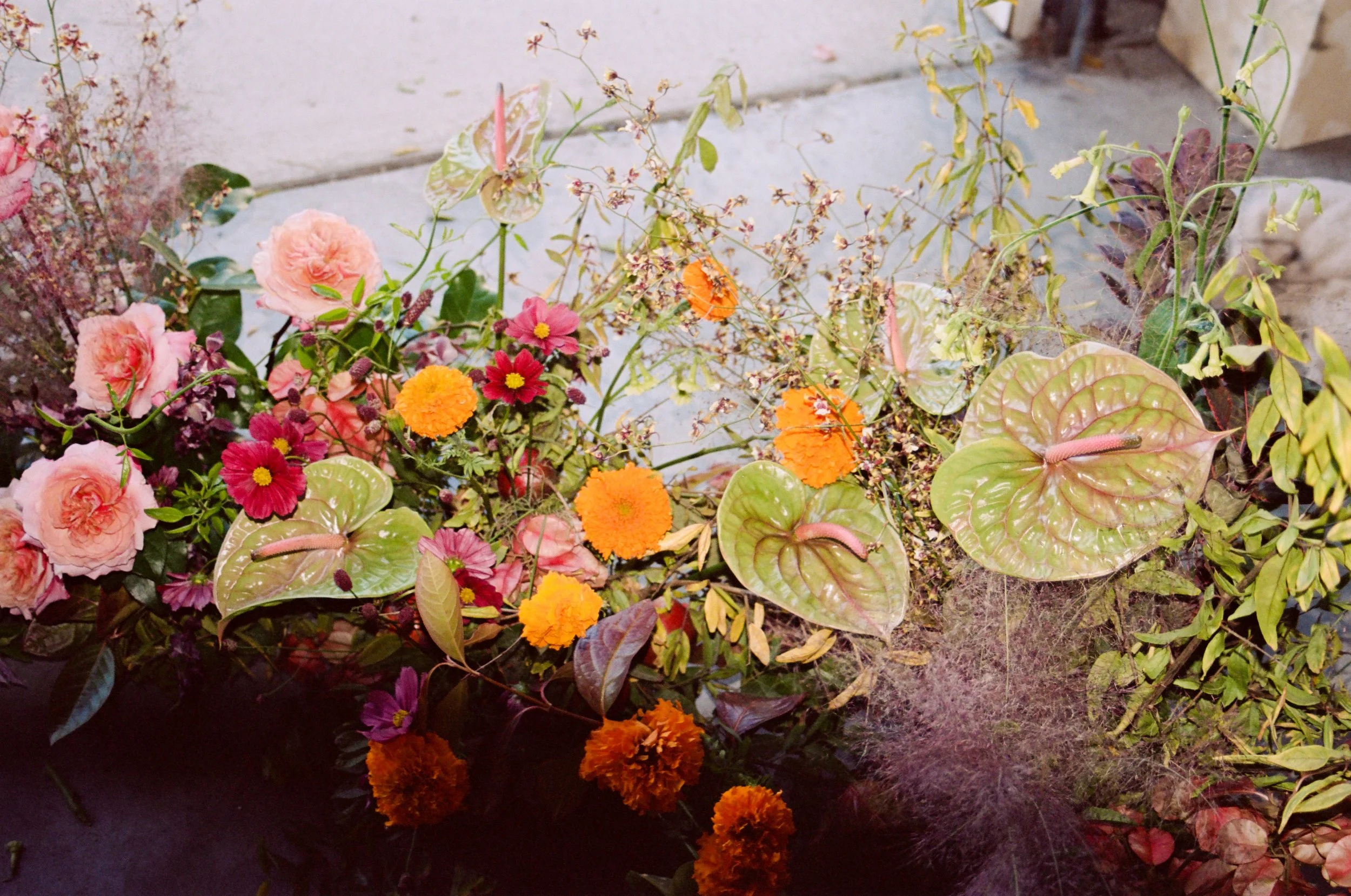 Berry Blooms Floral Co.