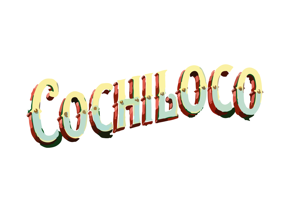Contact us — COCHILOCO RVA