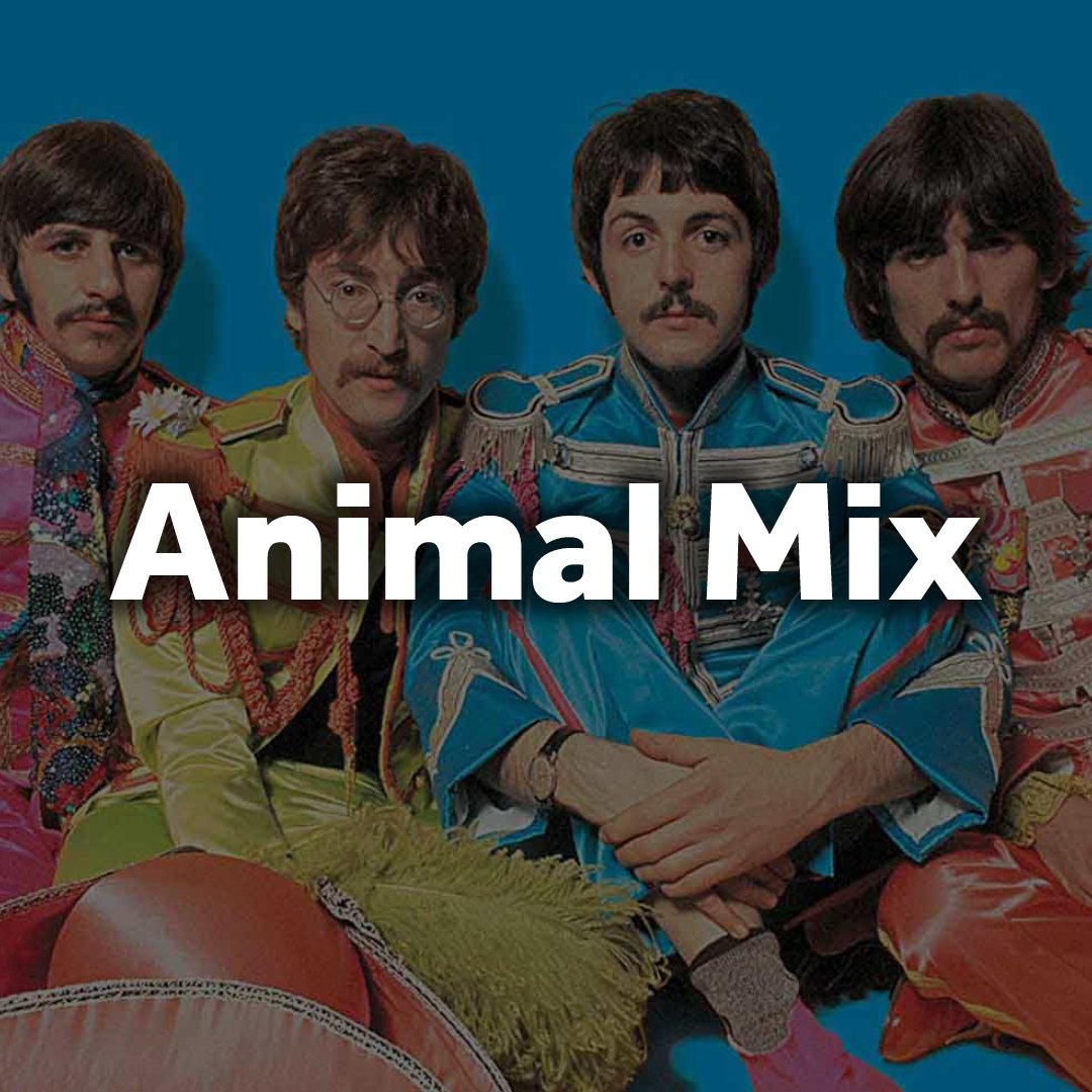 Mix Tape Music Bingo