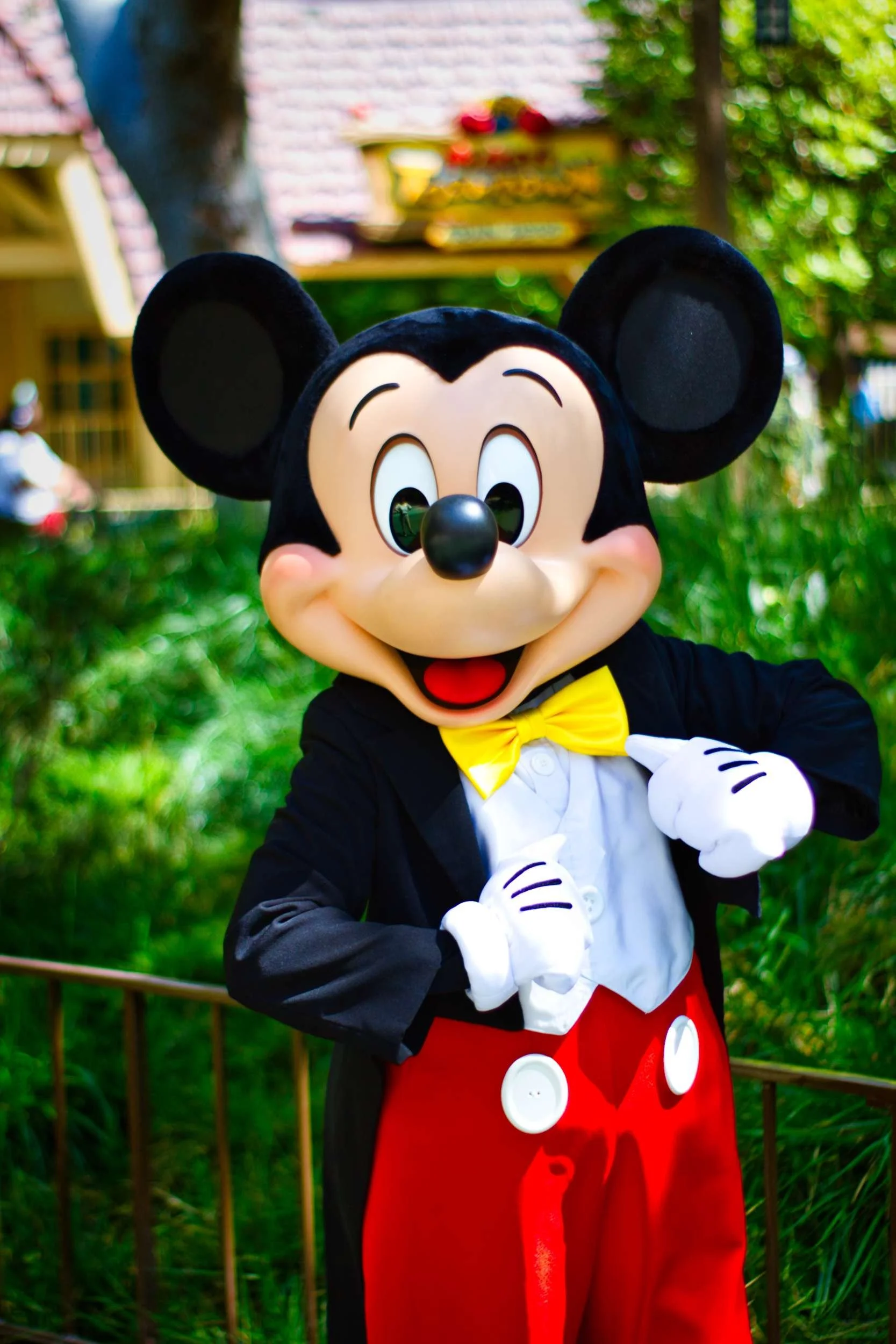 Tours — Mouse VIP Concierge