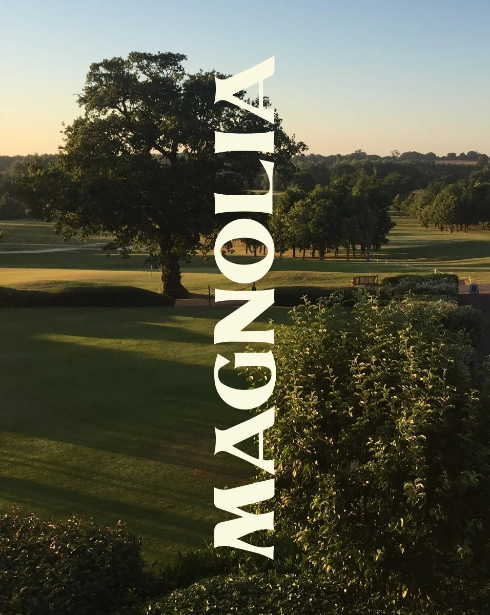 Work — Remarkable Visuals