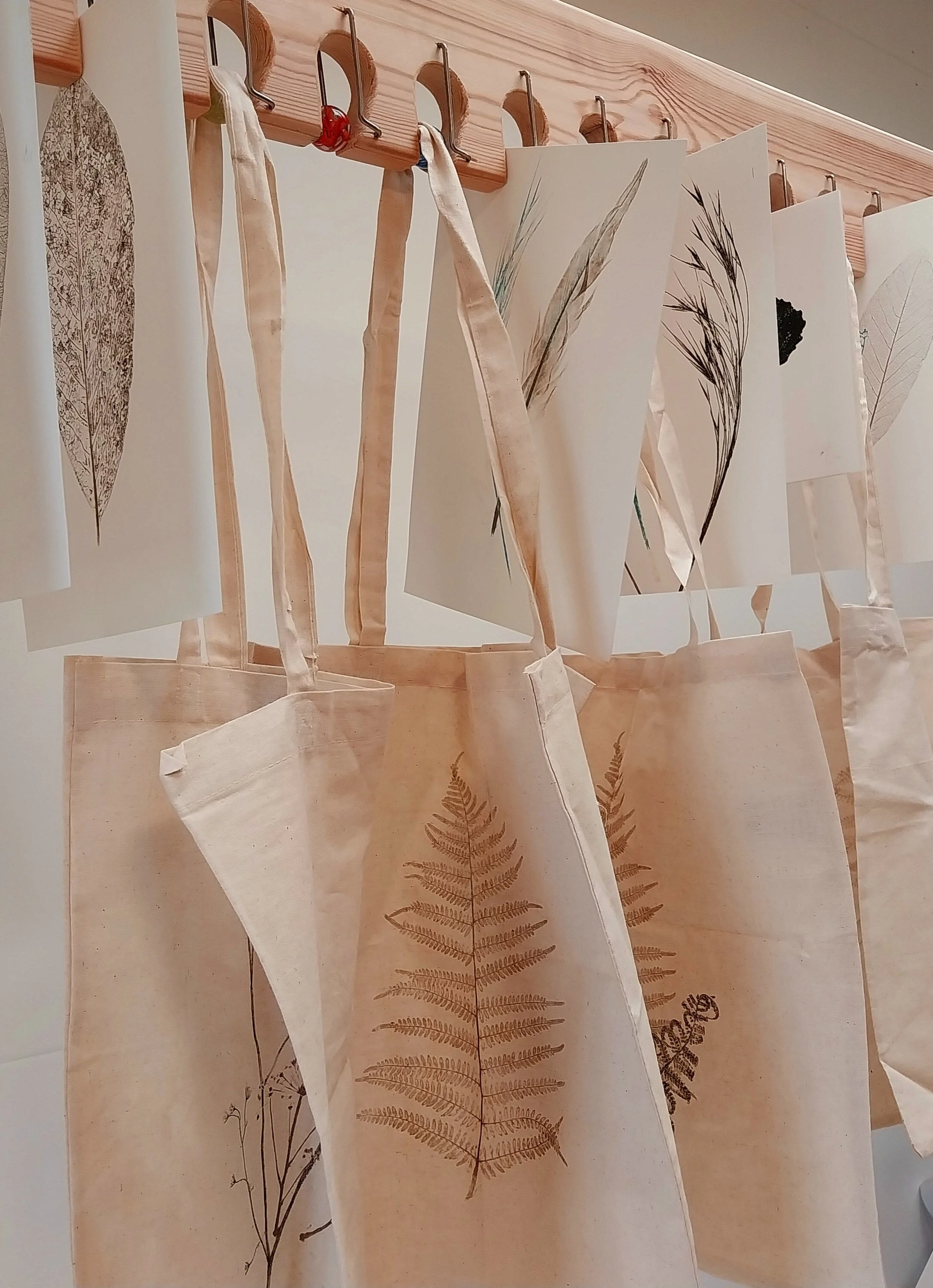 Monoprint Workshops — Annabel Wilkes Printmaking