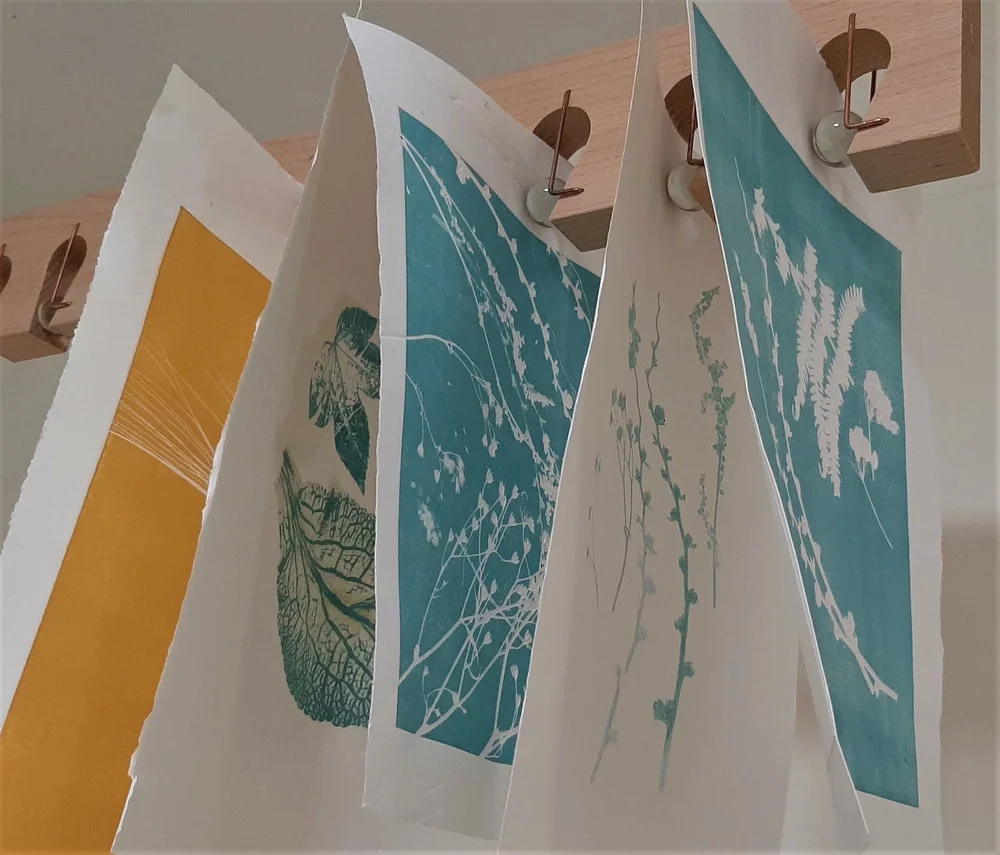 Monoprint Workshops — Annabel Wilkes Printmaking