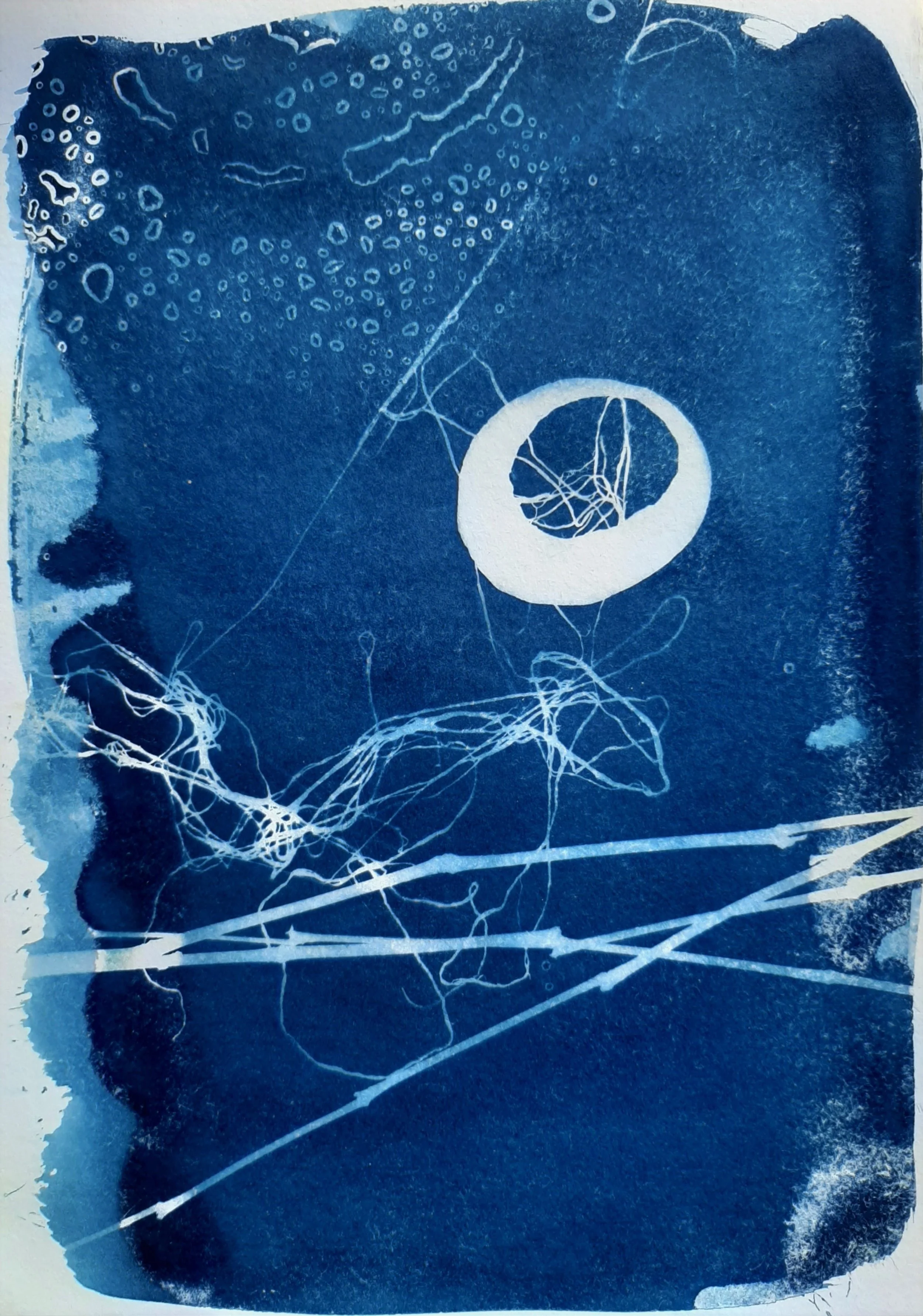 Cyanotype Workshops — Annabel Wilkes Printmaking
