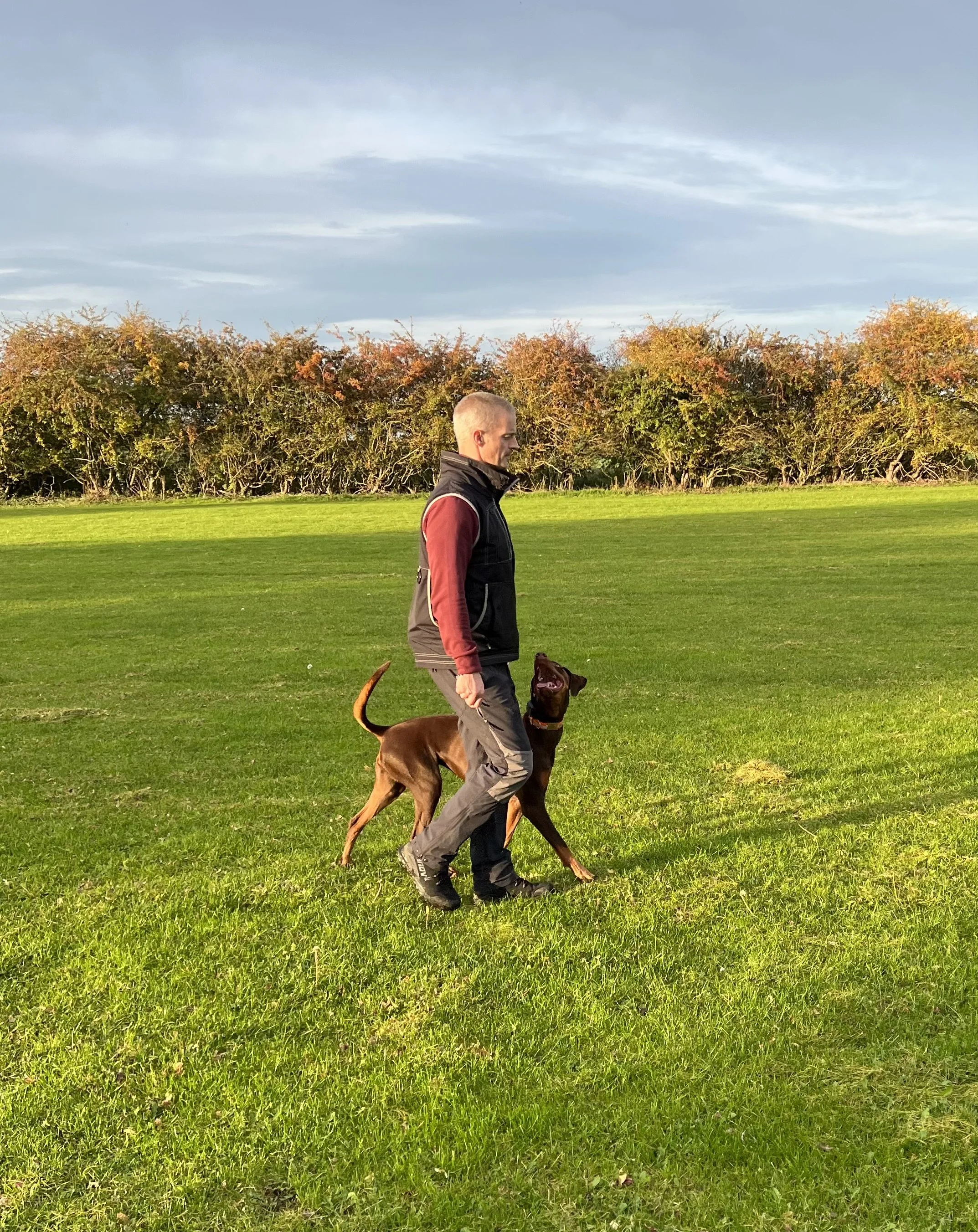 GTDog | Dog Trainer Near Lincolnshire, UK