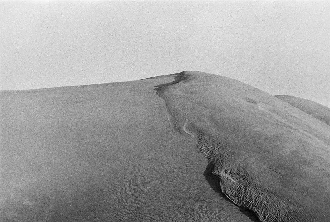 Taylor Lowry Photography | Denver Portrait Photographer | Denver and ...