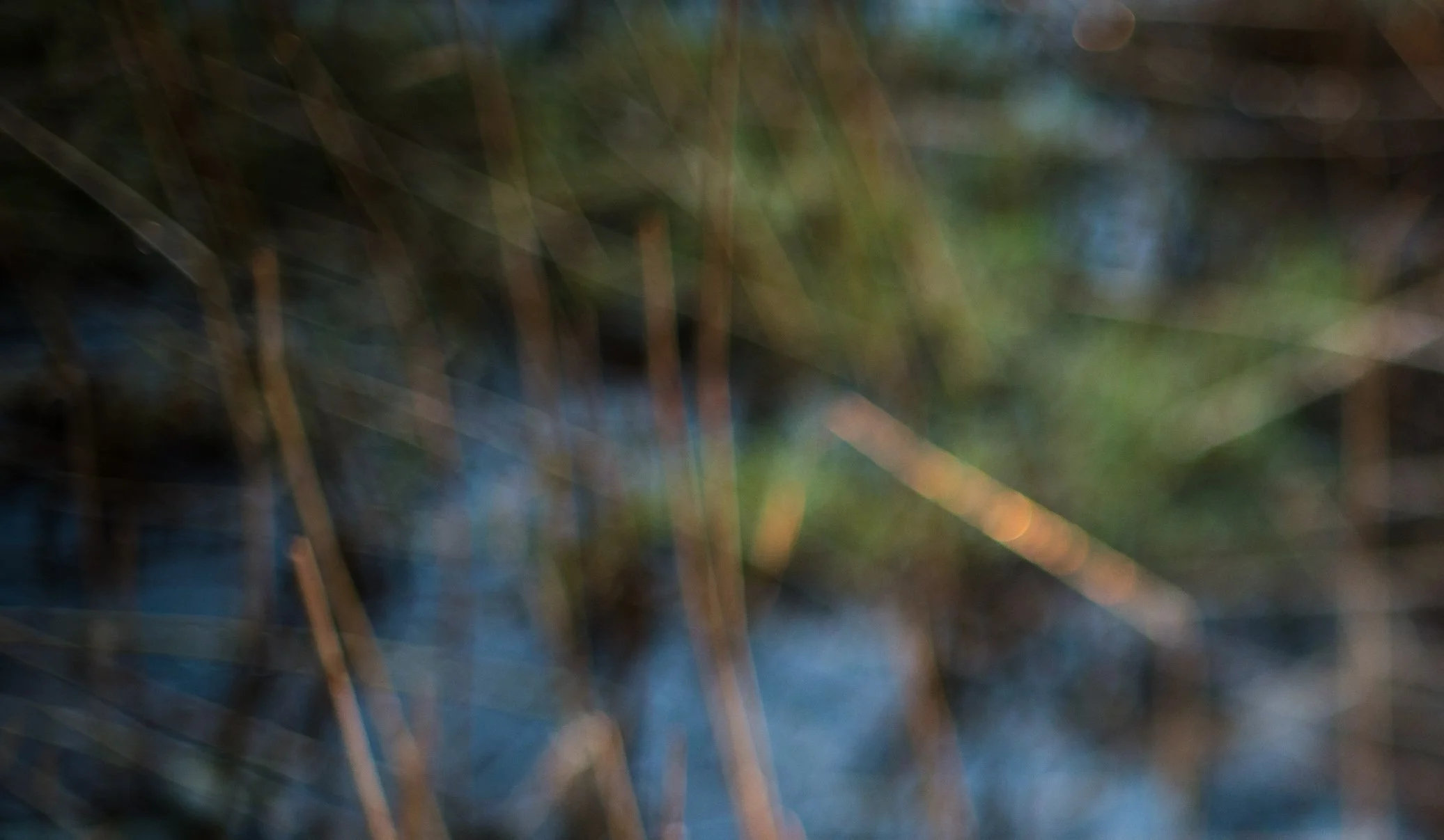 Kim Sheehan | Voice Coach