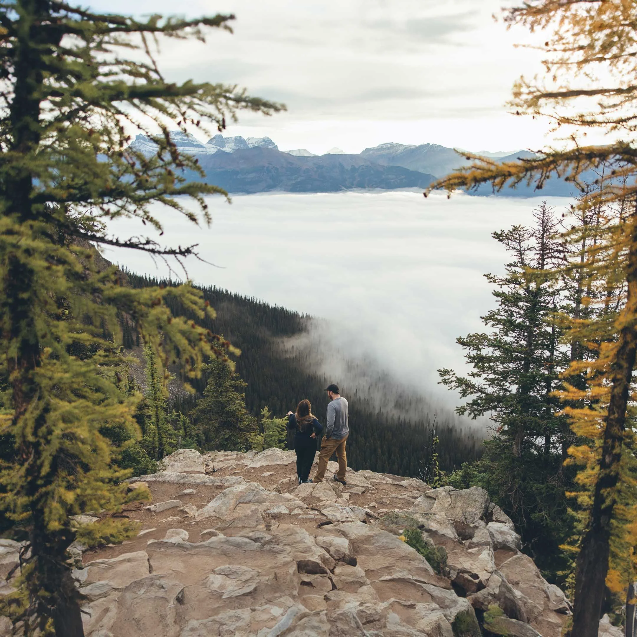 Surprise Proposals — Banff Photography
