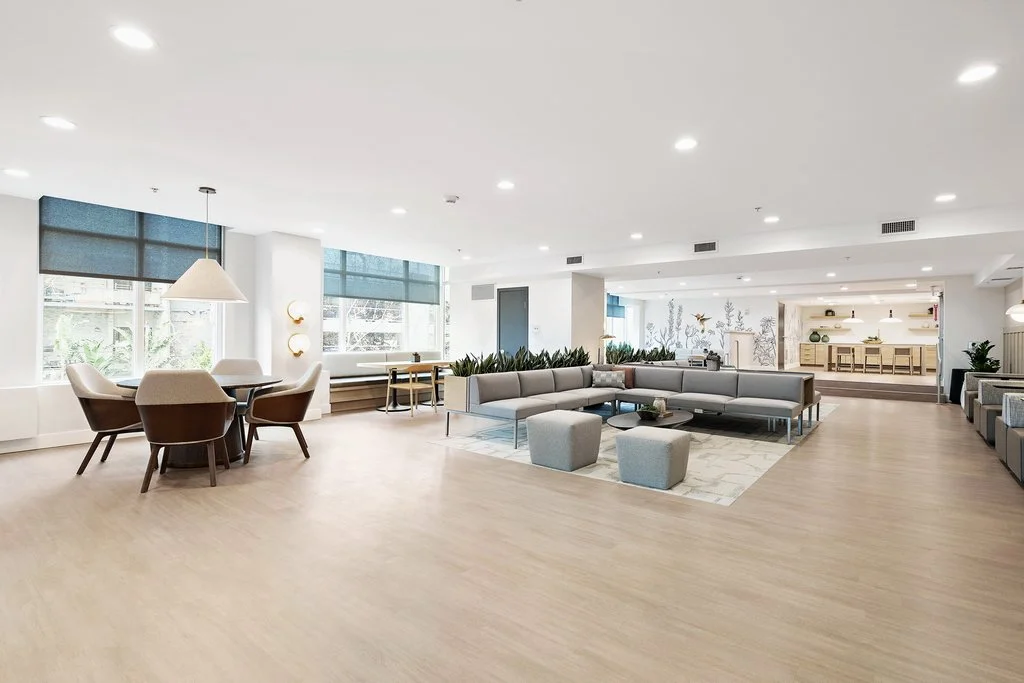 Vantage Pointe — Design Identity