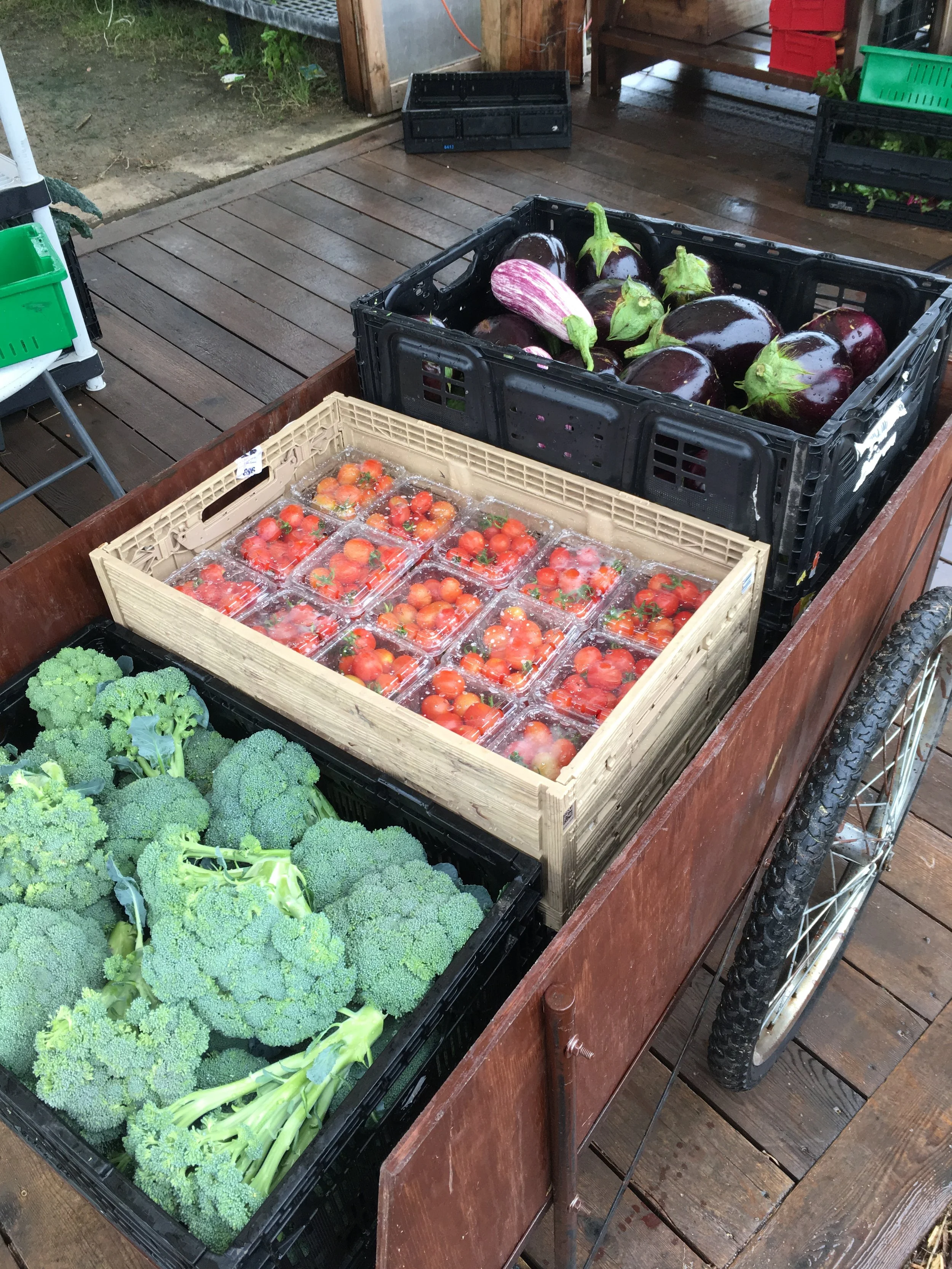 Food Access — Central Texas Food System
