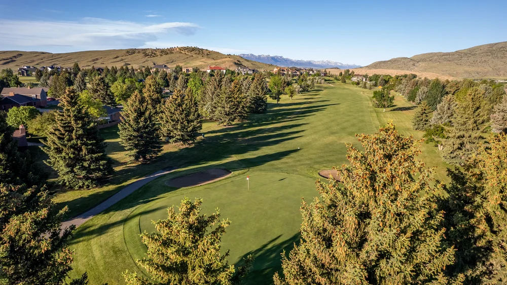 Green Fees — Olive Glenn Golf Course