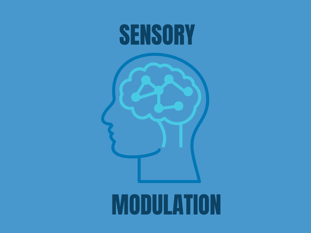 Understanding Sensory Processing — Elevate Health & Therapeutic Services