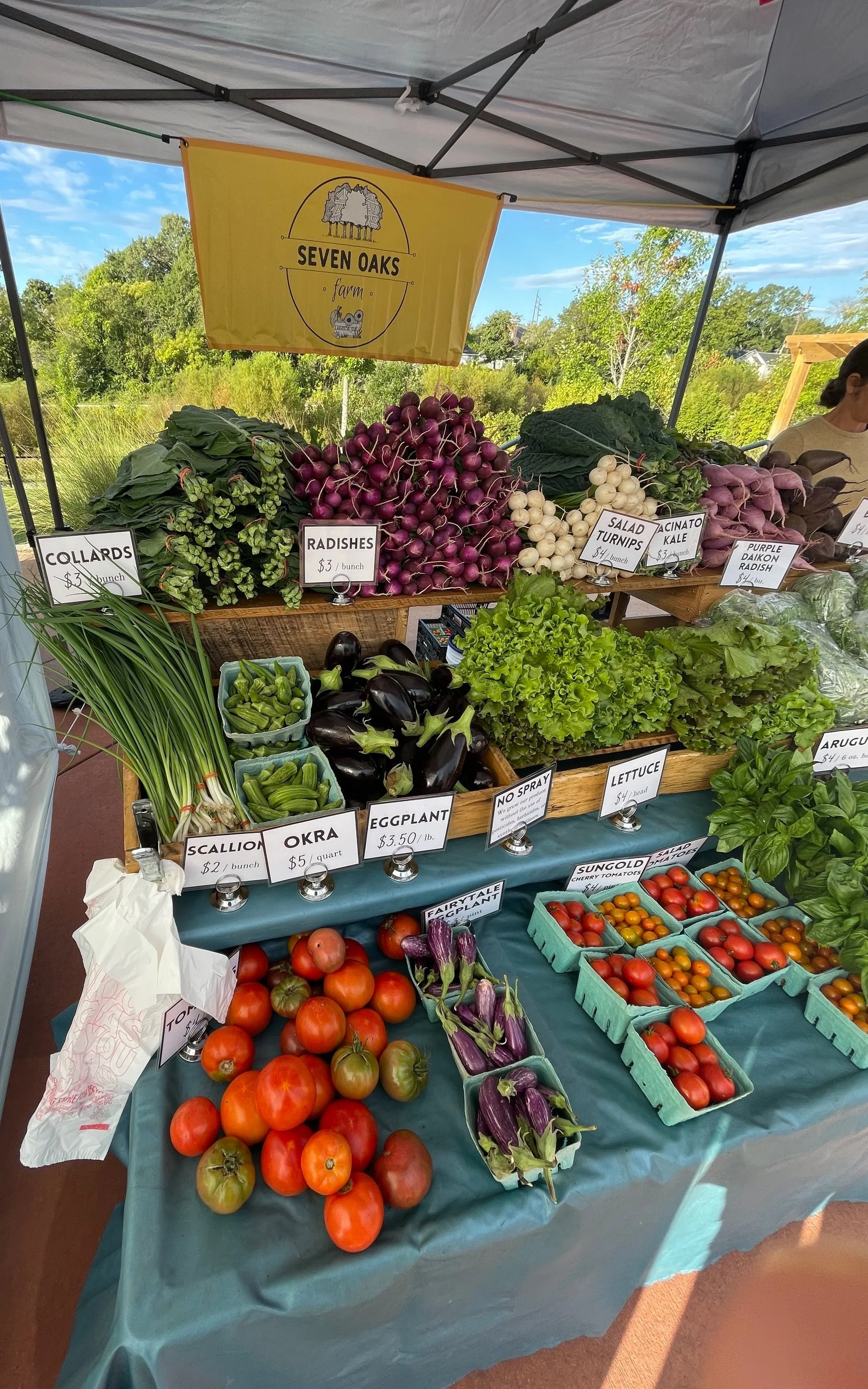 Farmers Market — Hub City Roots