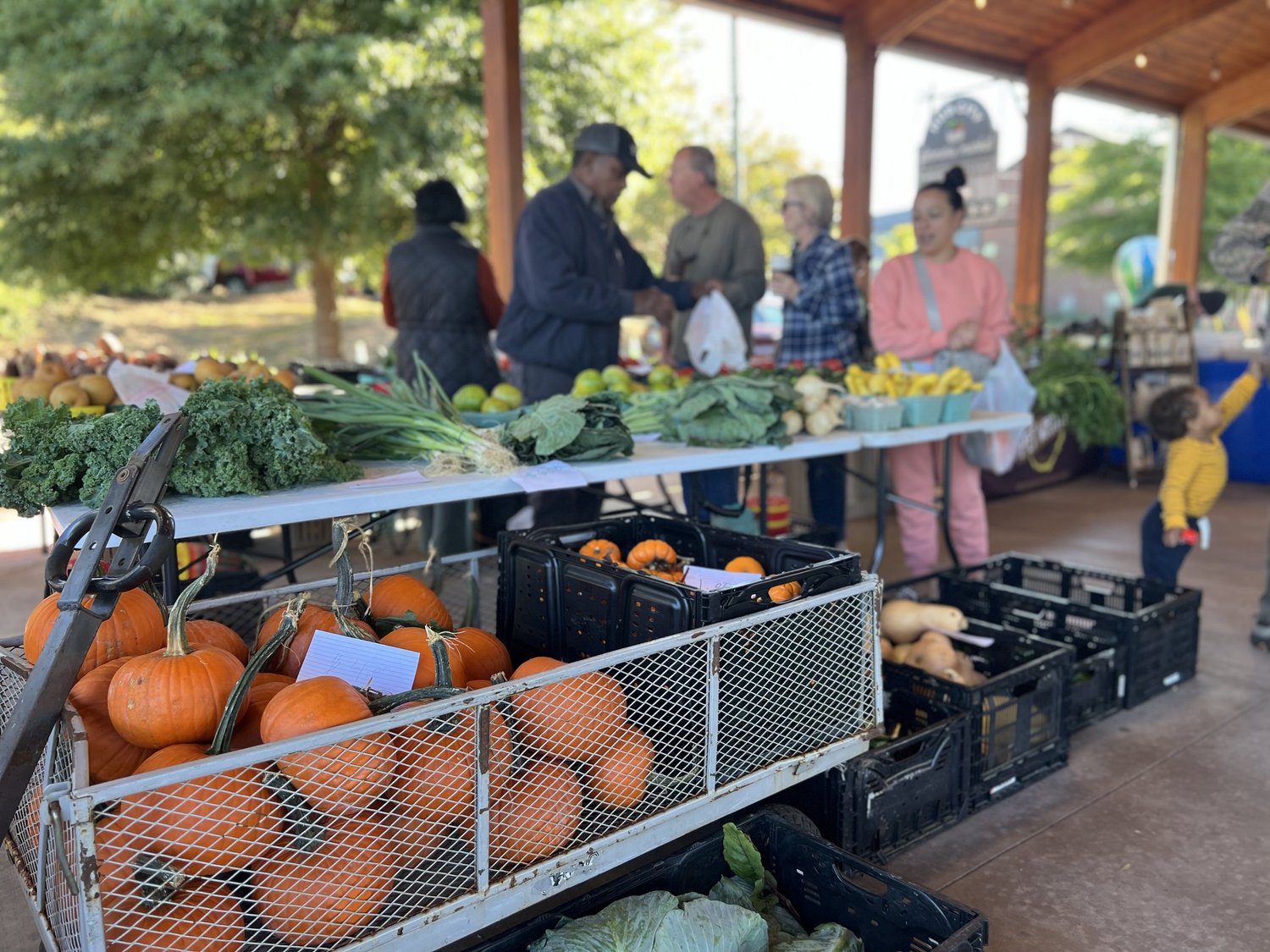 Farmers Market — Hub City Roots