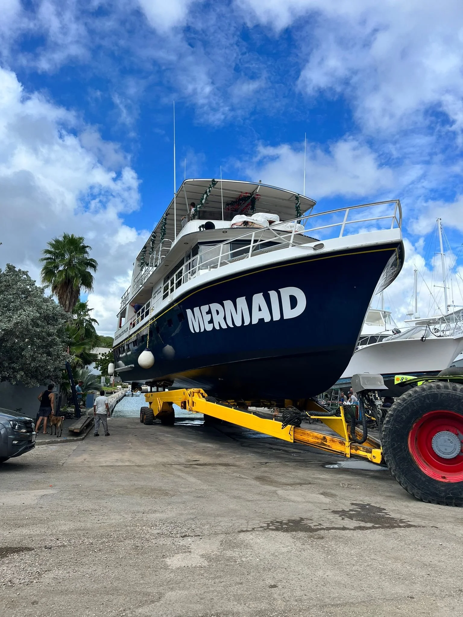 Mermaid Gallery — Curacao Marine Zone