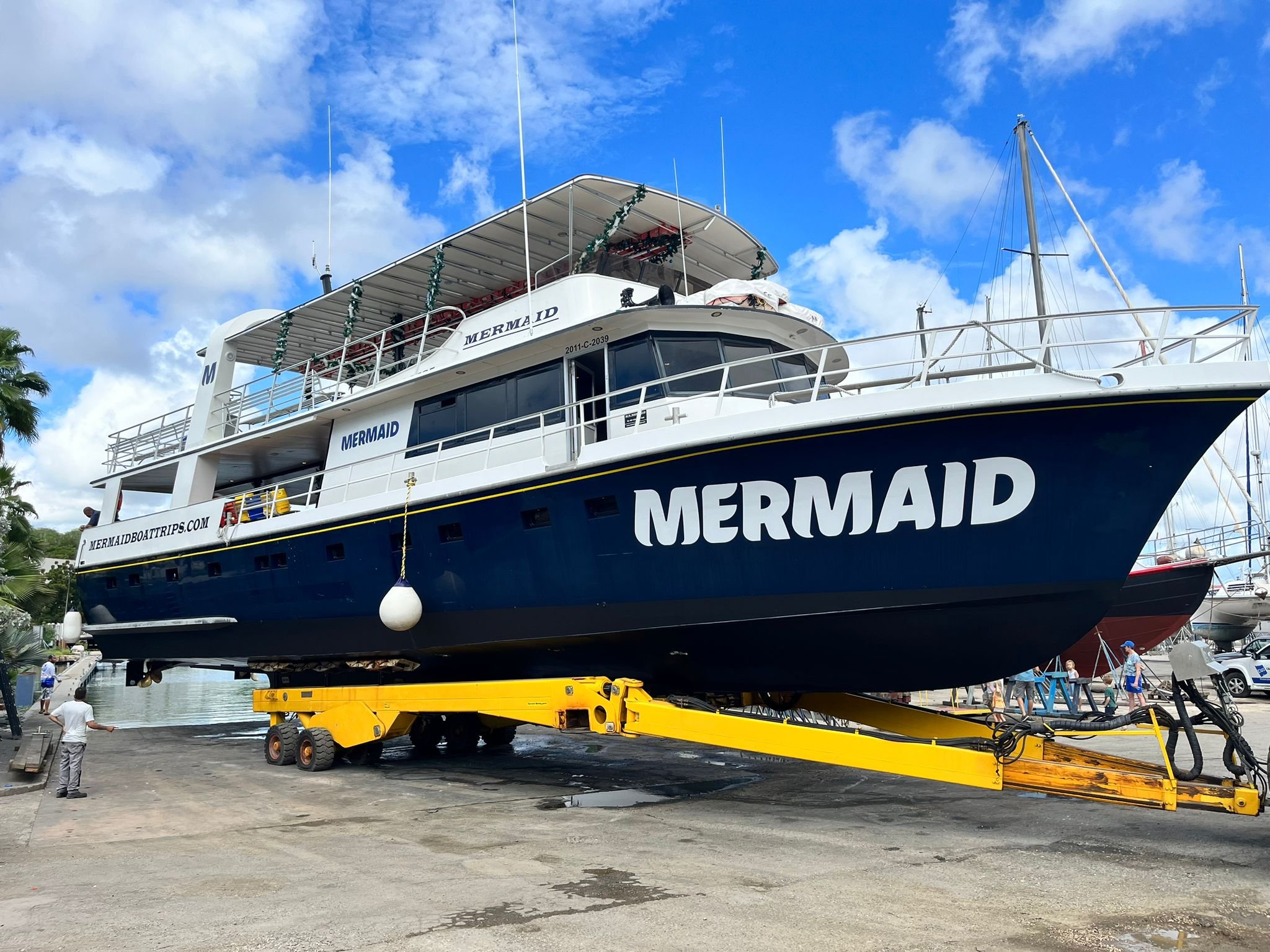 Mermaid Gallery — Curacao Marine Zone