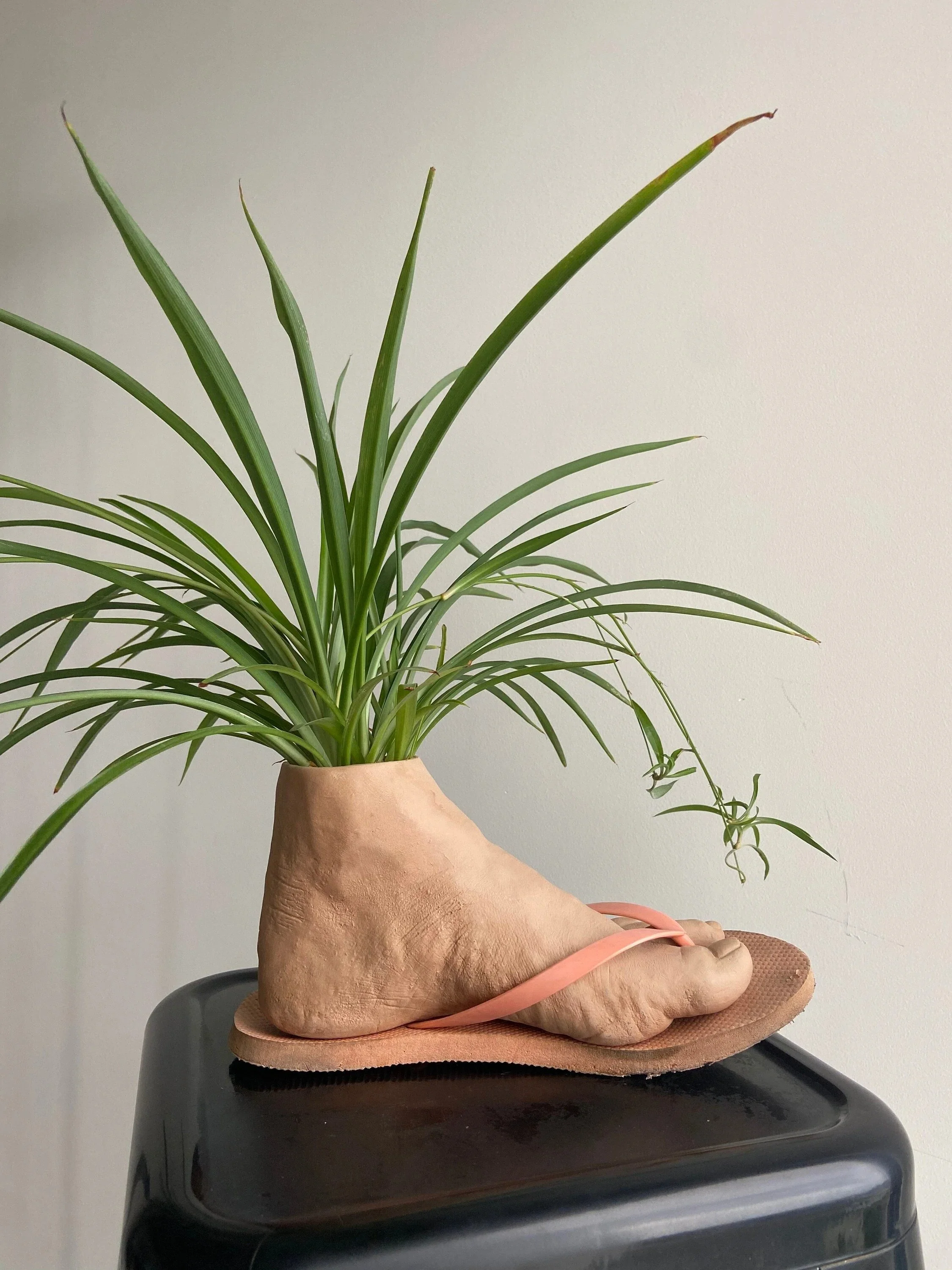 keep the halloween spirit alive all year — MTD