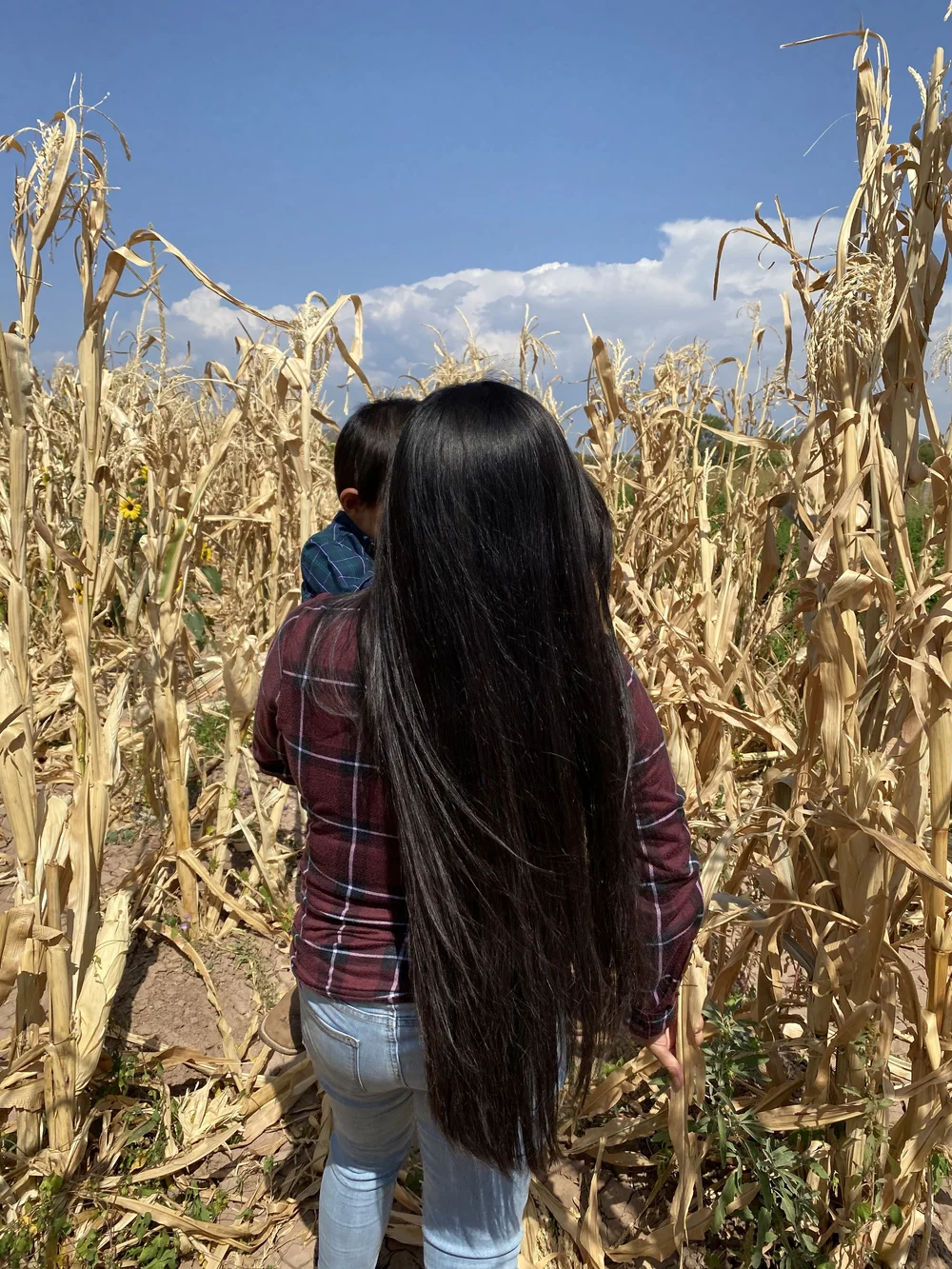 Matriarch Funds — Native Women Lead