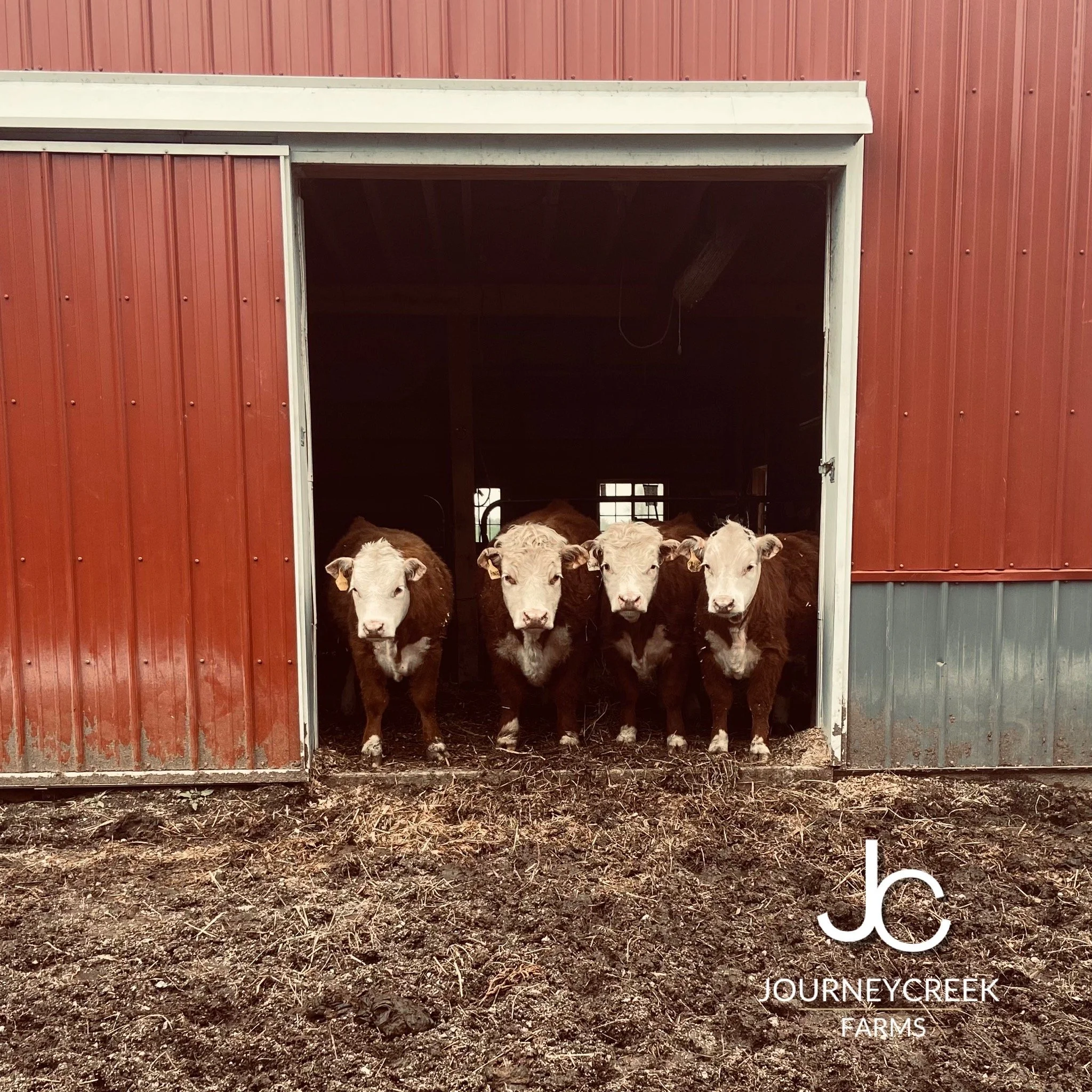 General 2 — Journeycreek Farms