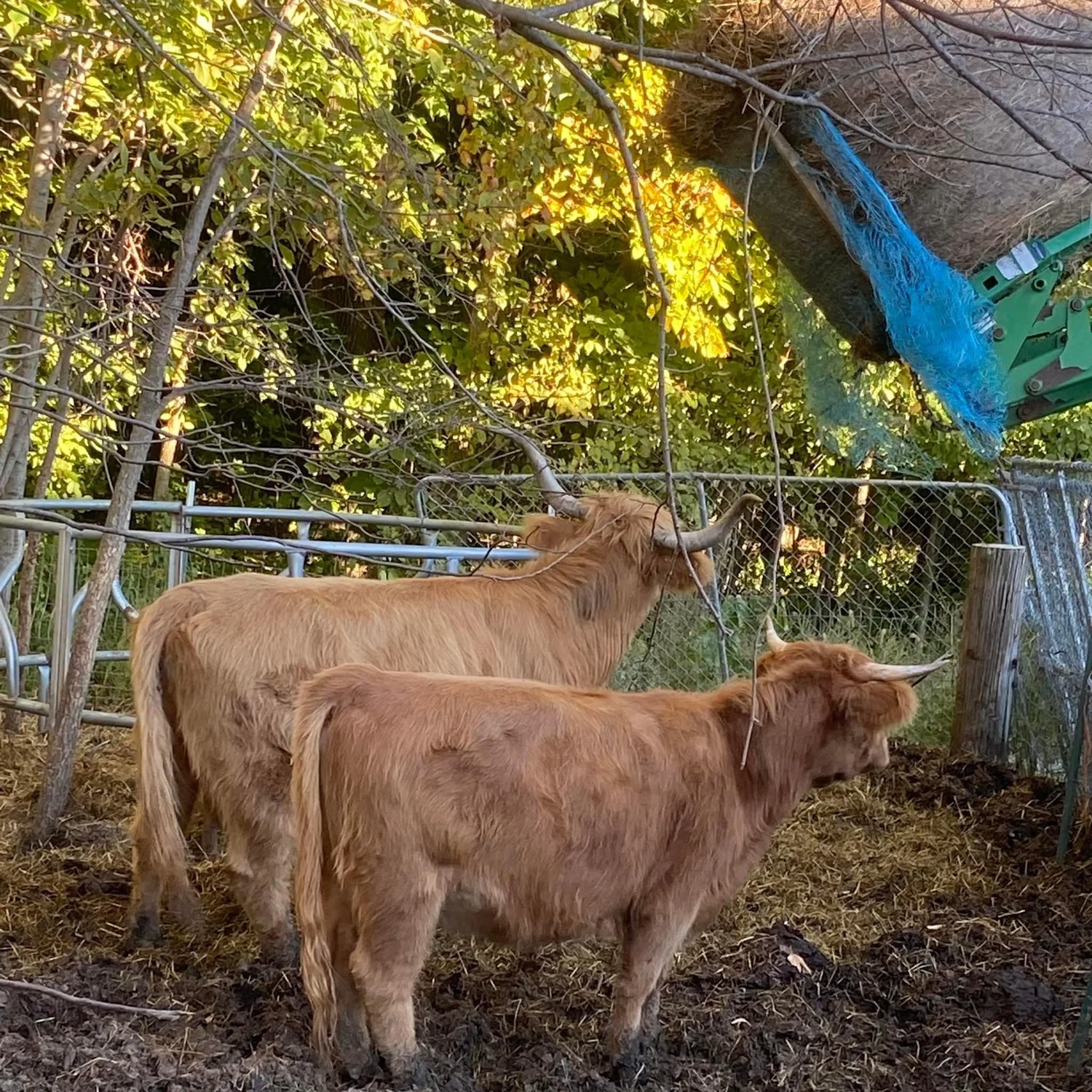 General 2 — Journeycreek Farms