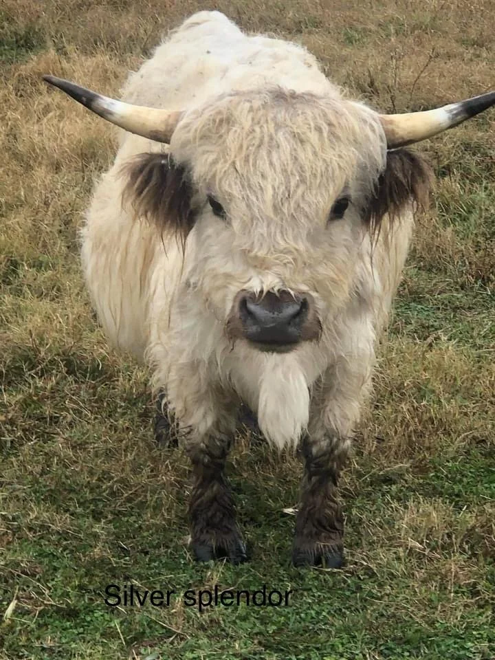 General 2 — Journeycreek Farms