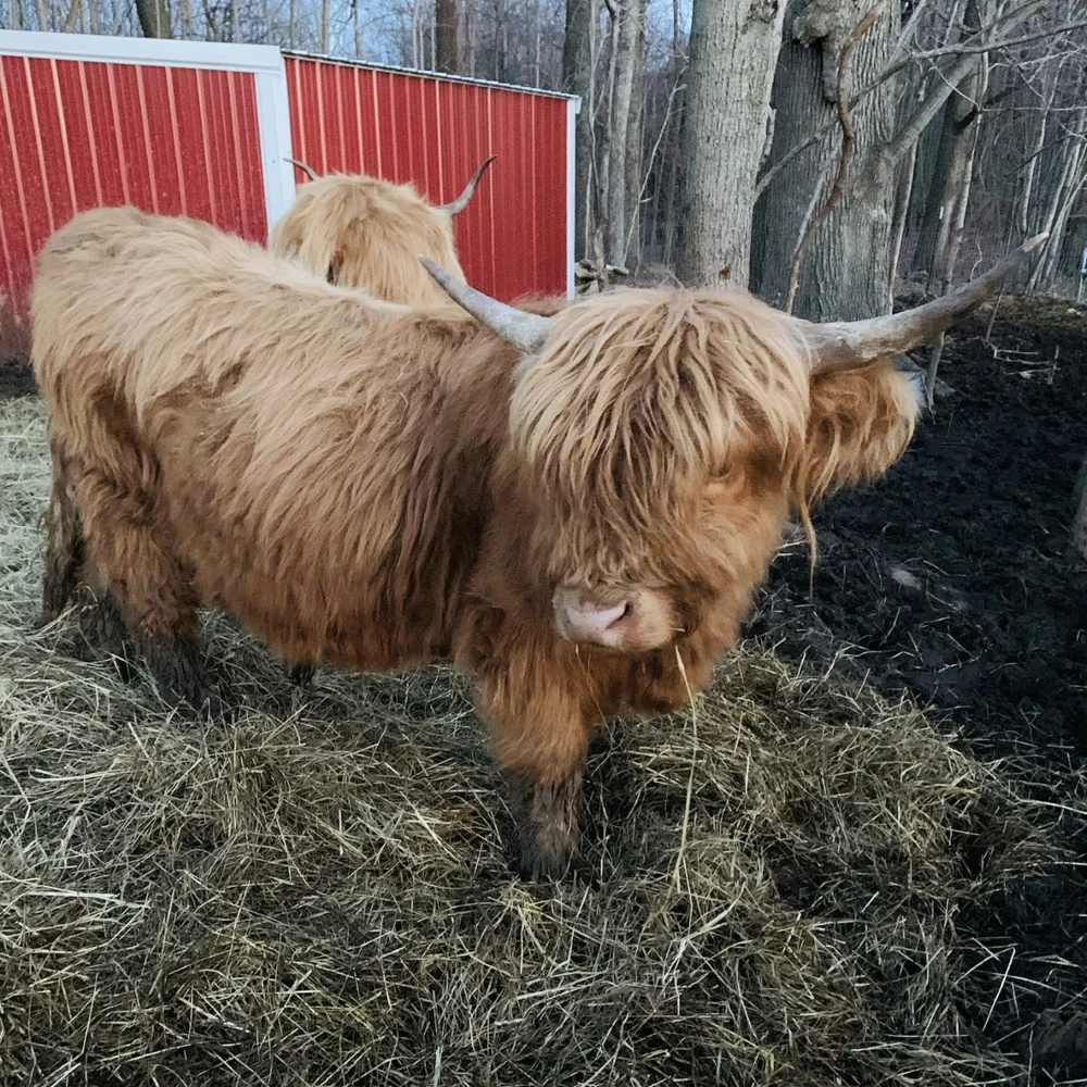 General 2 — Journeycreek Farms