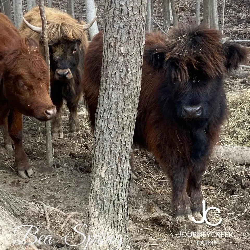 General 2 — Journeycreek Farms