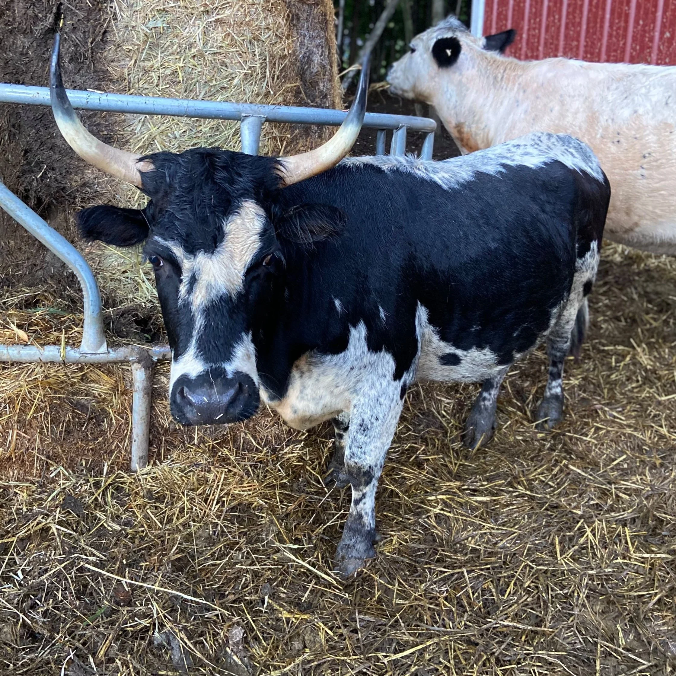 General 2 — Journeycreek Farms