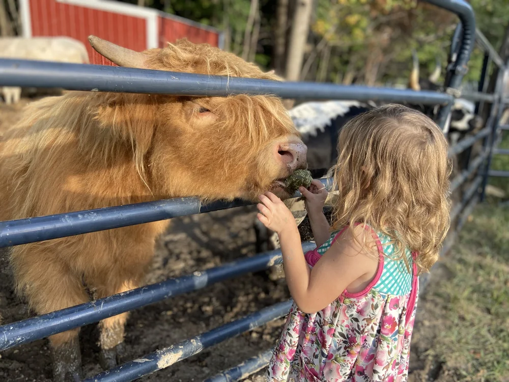 General 2 — Journeycreek Farms