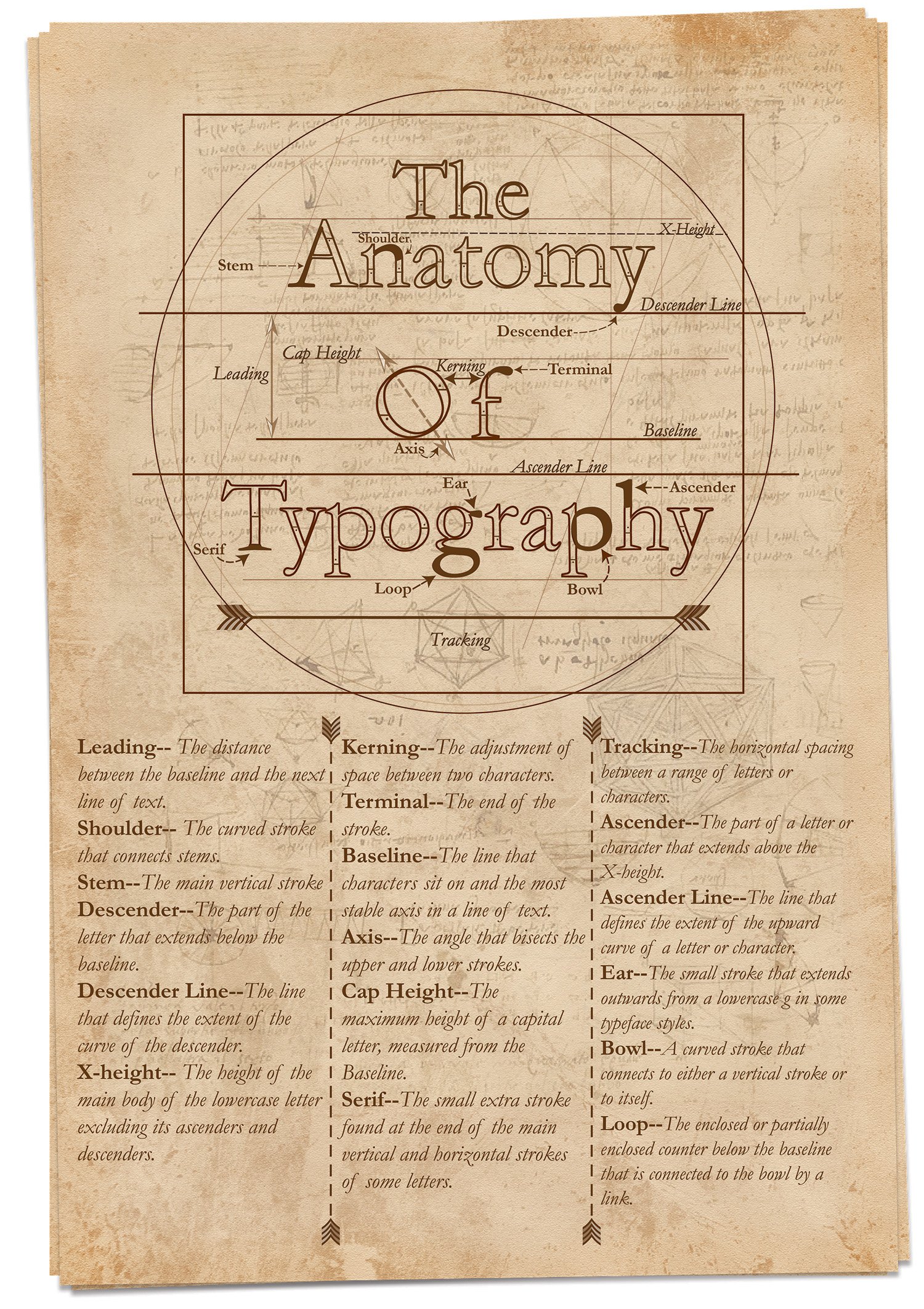 Typography And The Different Parts