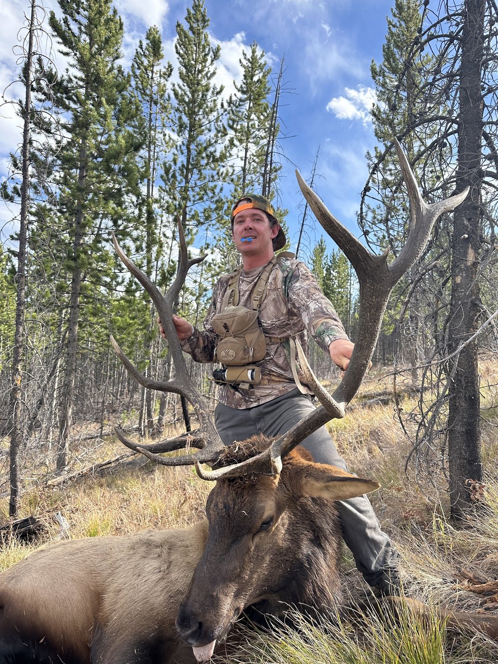 Big Game Hunting — Wilderness Trails Outfitters