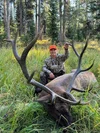 Big Game Hunting — Wilderness Trails Outfitters